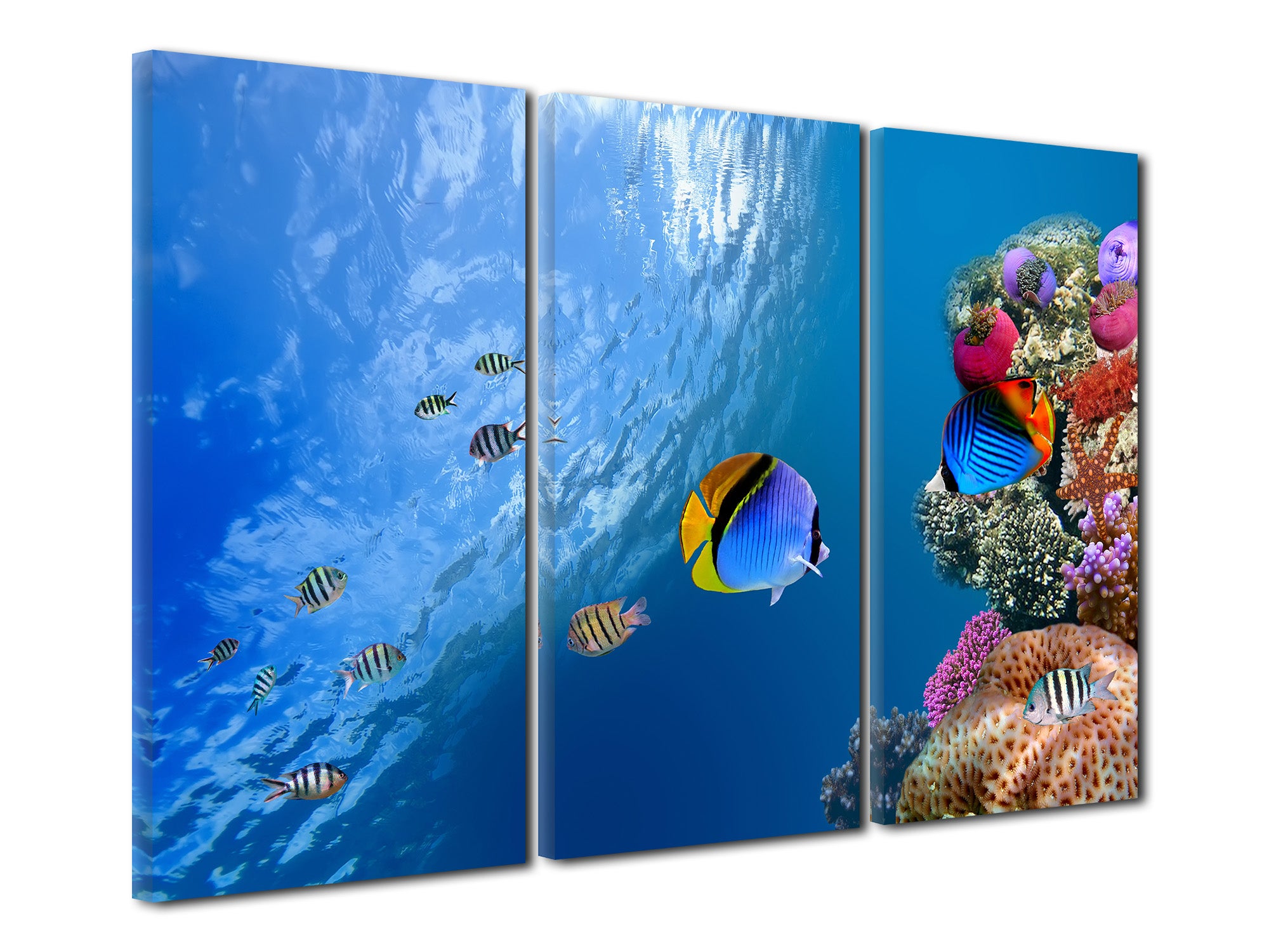 DECLINA, Tableau toile imprimée, animaux, Tableau décoration Le Monde ...