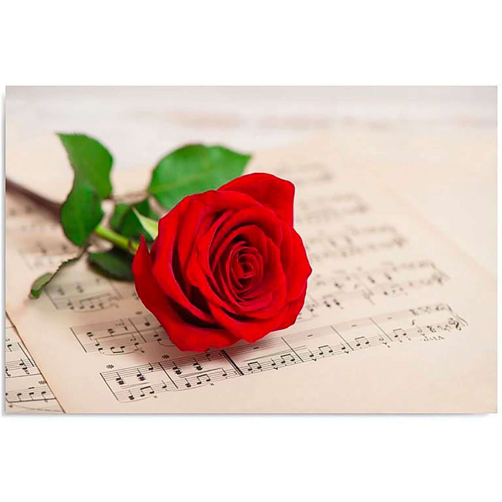 Tableau rose sur des notes - 80 x 60 cm | Leroy Merlin