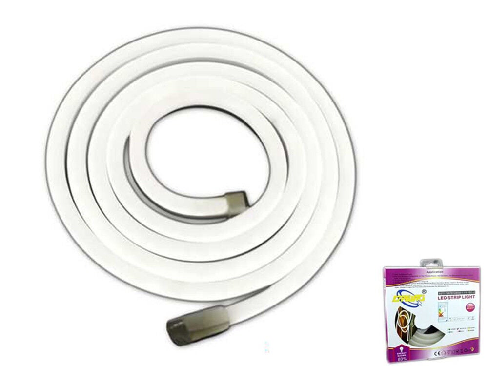 RUBAN LED 2 MÈTRES LUMIÈRE FROIDE TUBE NÉON DÉCORATIF FLEXIBLE IP65 12V ...