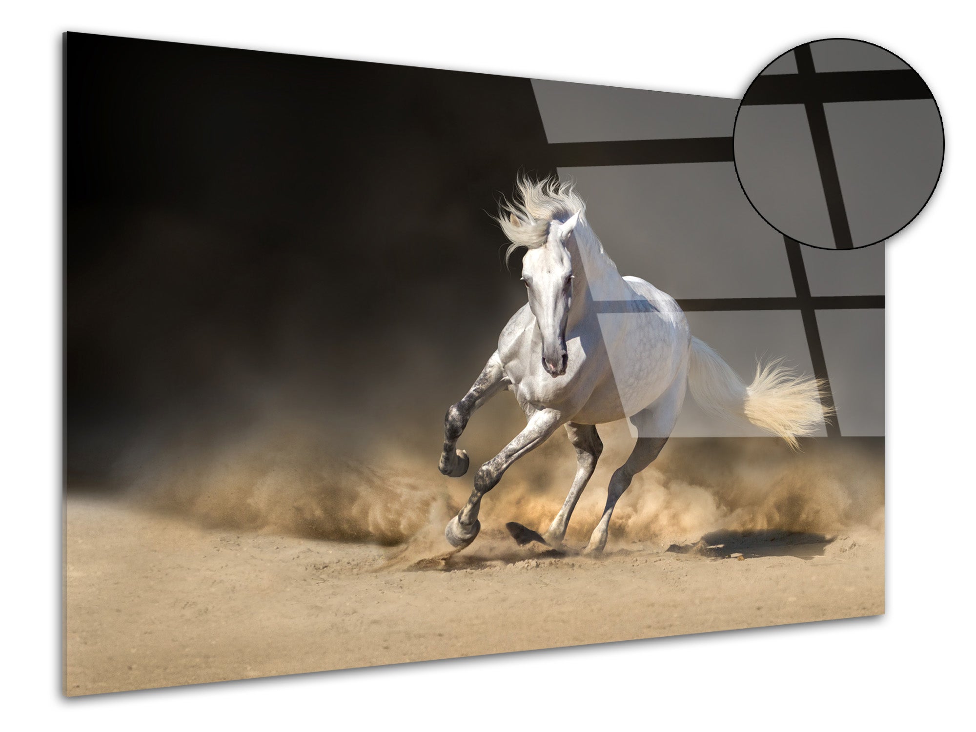 Tableau déco plexiglas Cheval blanc au galop | Leroy Merlin