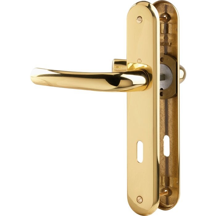 Poignée de porte intérieure - Tokyo - Hoppe Et Cie - Doré - Clé L - 195 ...