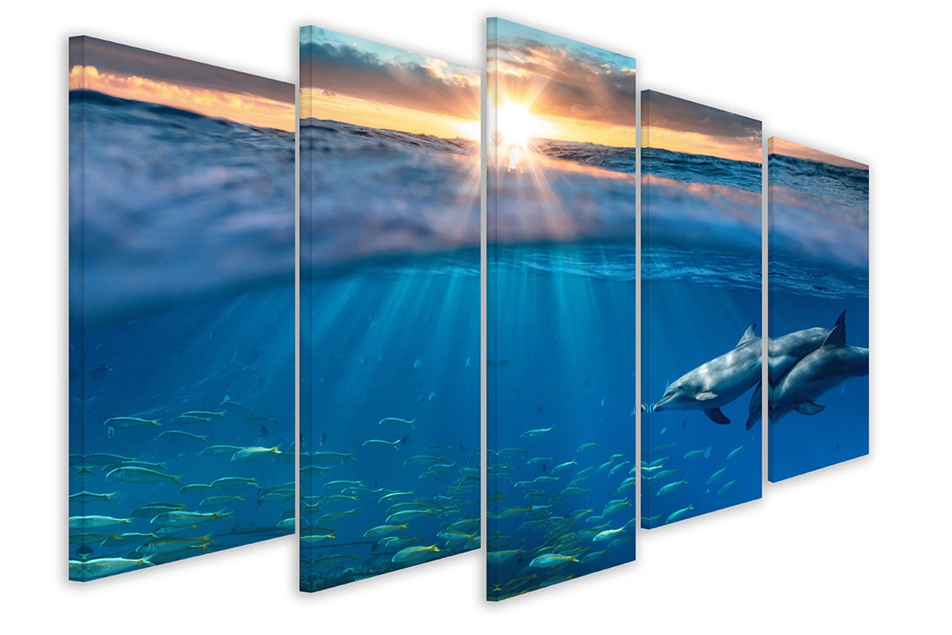 Tableau 5 parties animaux dauphins et bain de minuit - 150x80 cm ...