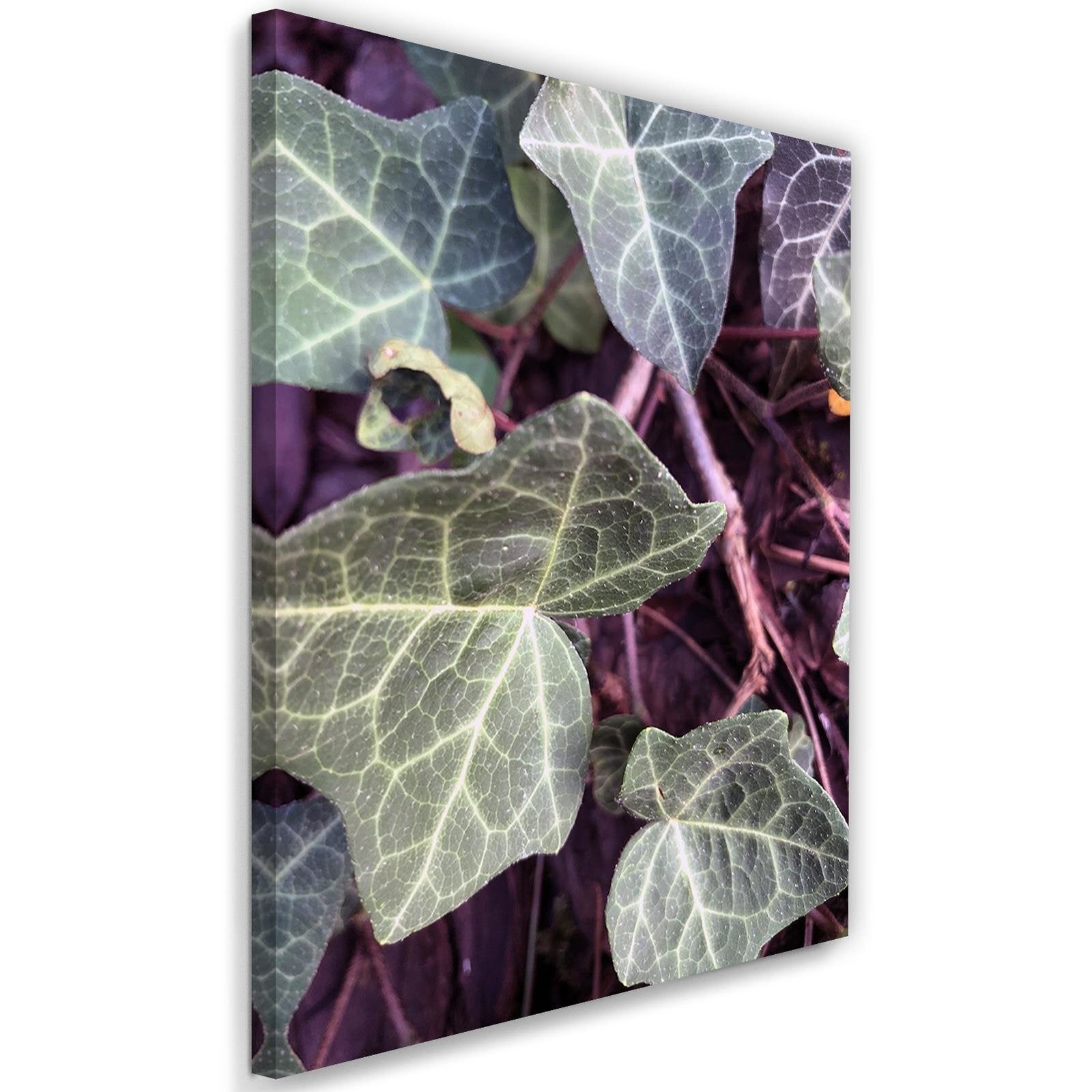 Tableau lierre vert - 80 x 120 cm | Leroy Merlin