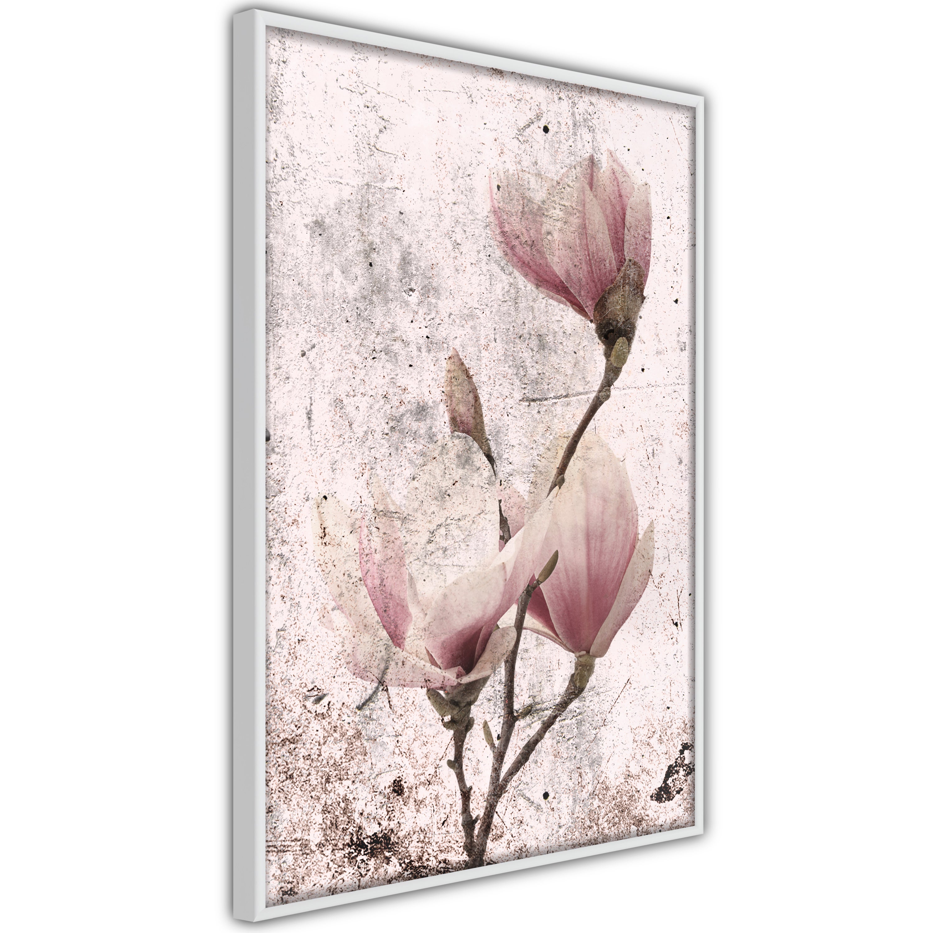 Poster et affiche - Queen of Spring Flowers II - 20x30 | Leroy Merlin