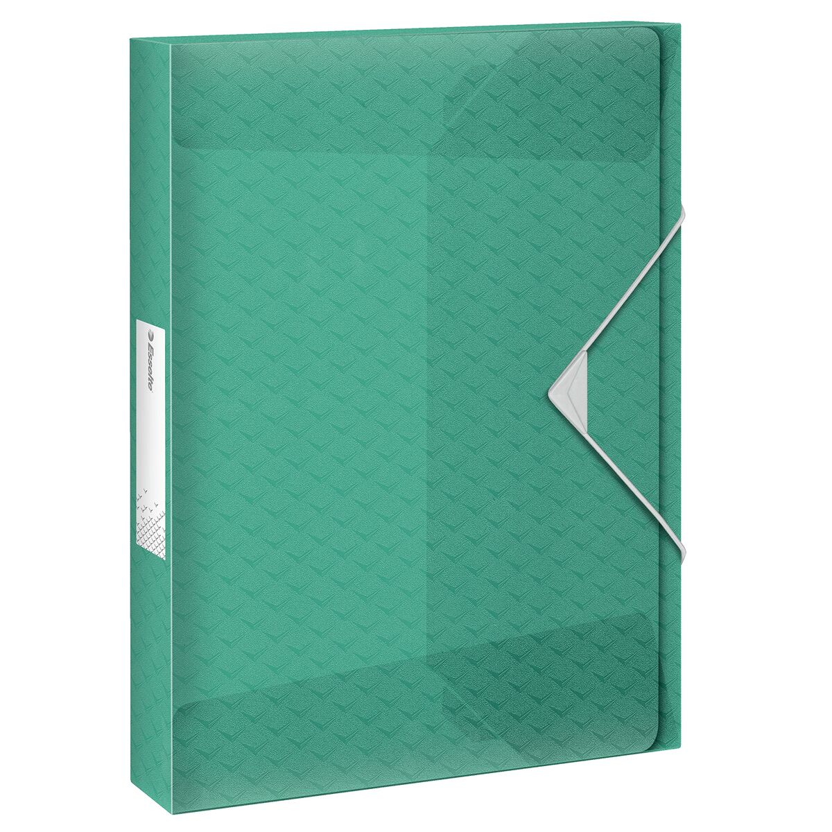 Carpeta Esselte Colour'ice Verde | Leroy Merlin