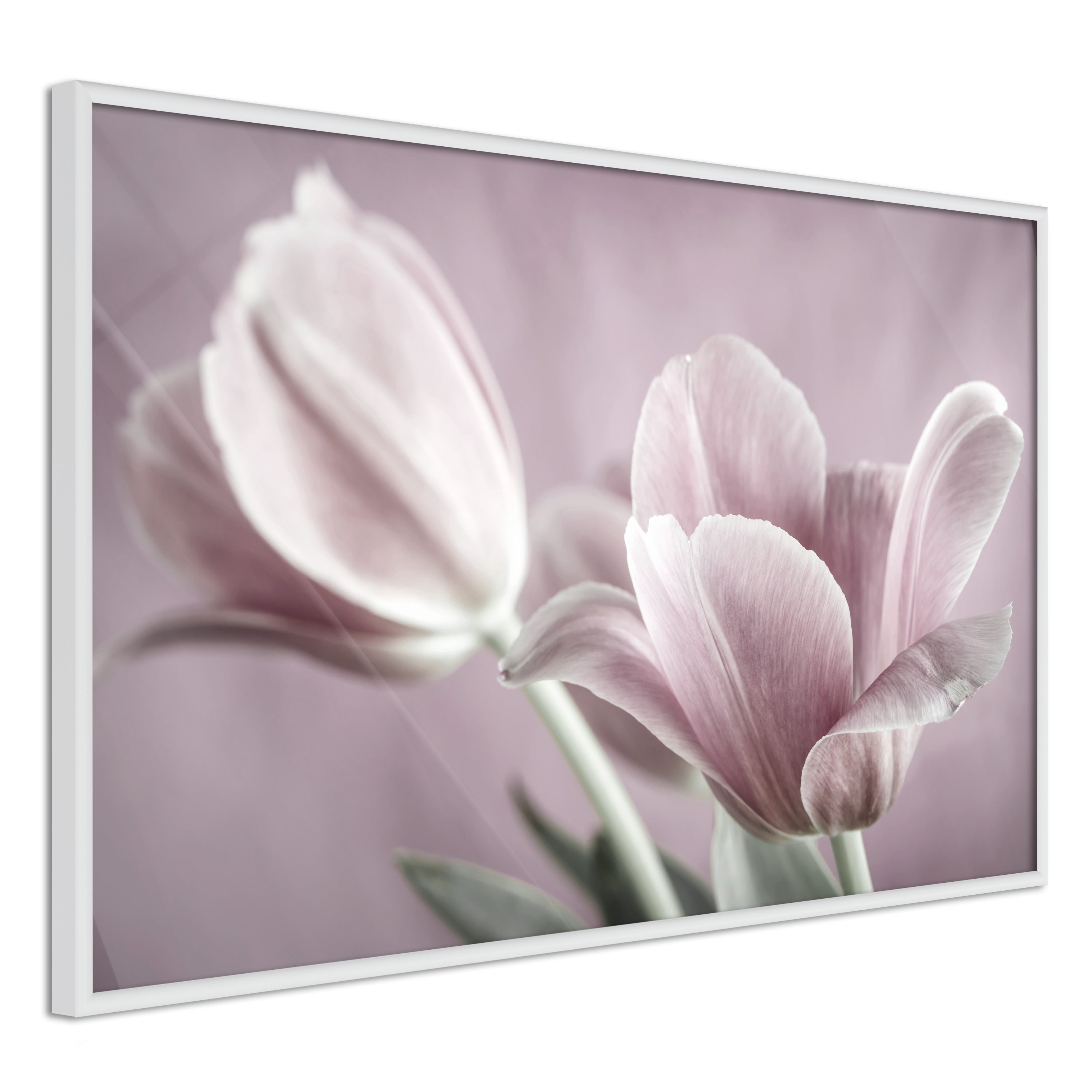 Poster et affiche - Pastel Tulips I - 60x40 | Leroy Merlin