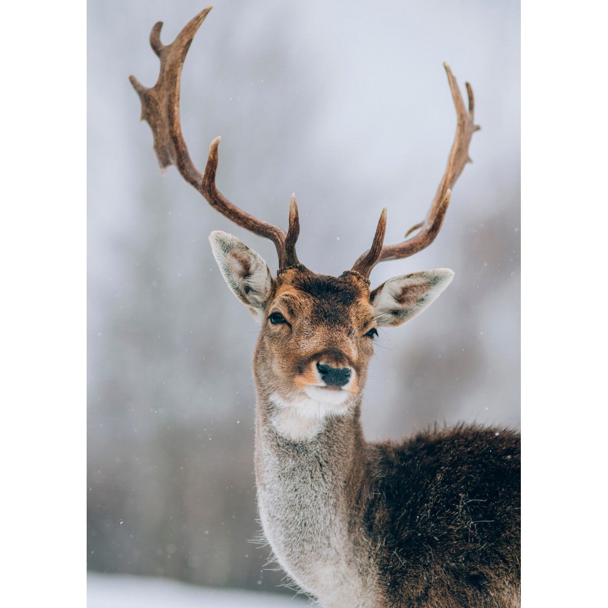 Tableau mural cerf sous la neige | Leroy Merlin