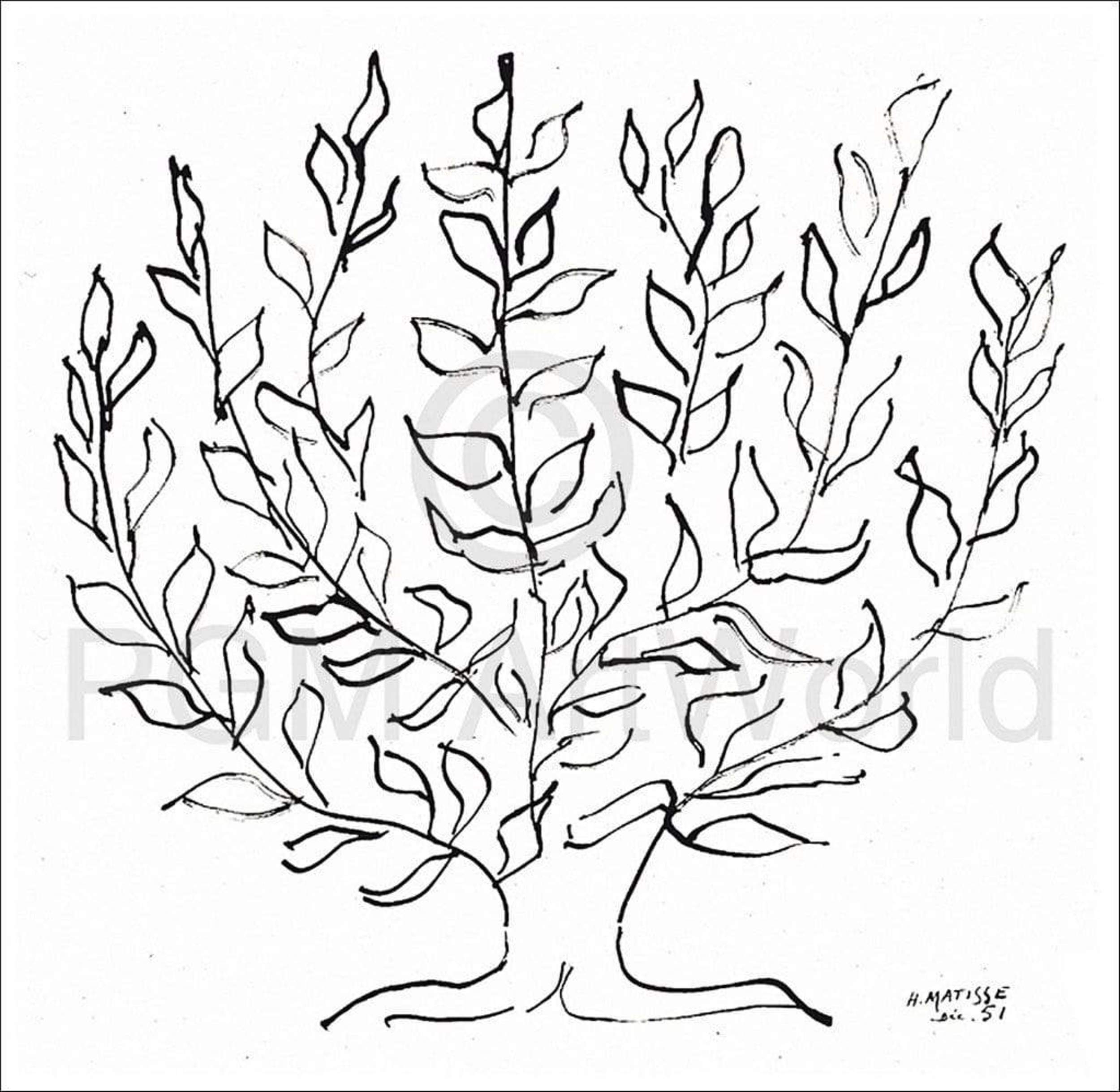 Affiche Art Henri Matisse - Le platane 100x100cm | Leroy Merlin