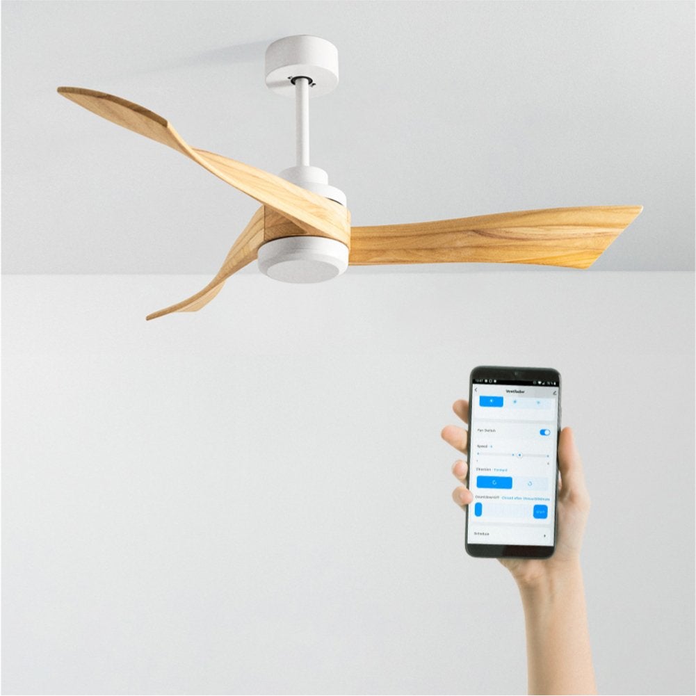 CREATE - WINDLIGHT CURVE DC - Función Verano/Invierno - Ventilador de ...