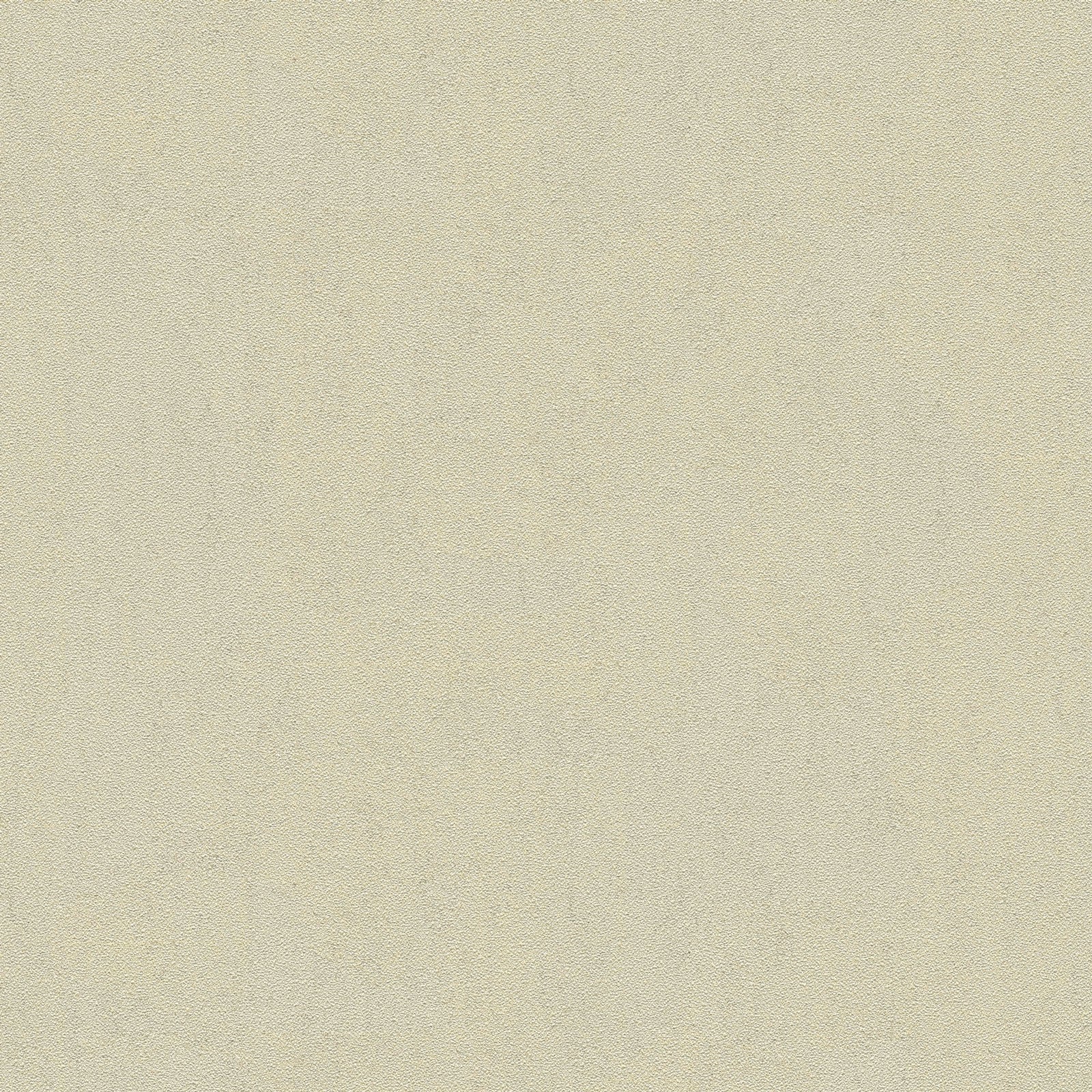 Papier peint gris intissé pour cuisine & couloir Tapisserie murale ...