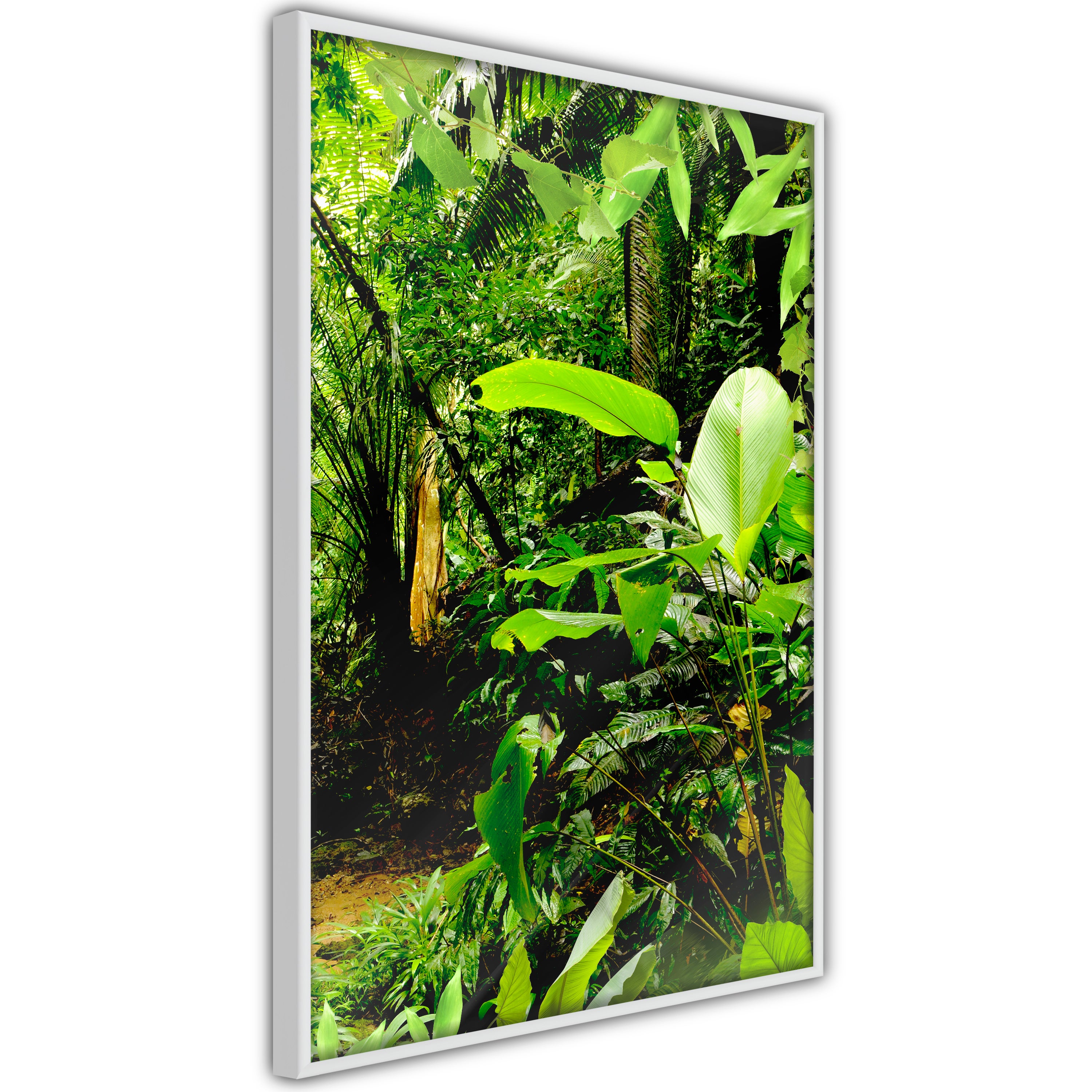 Poster et affiche - In the Rainforest - 20x30 | Leroy Merlin