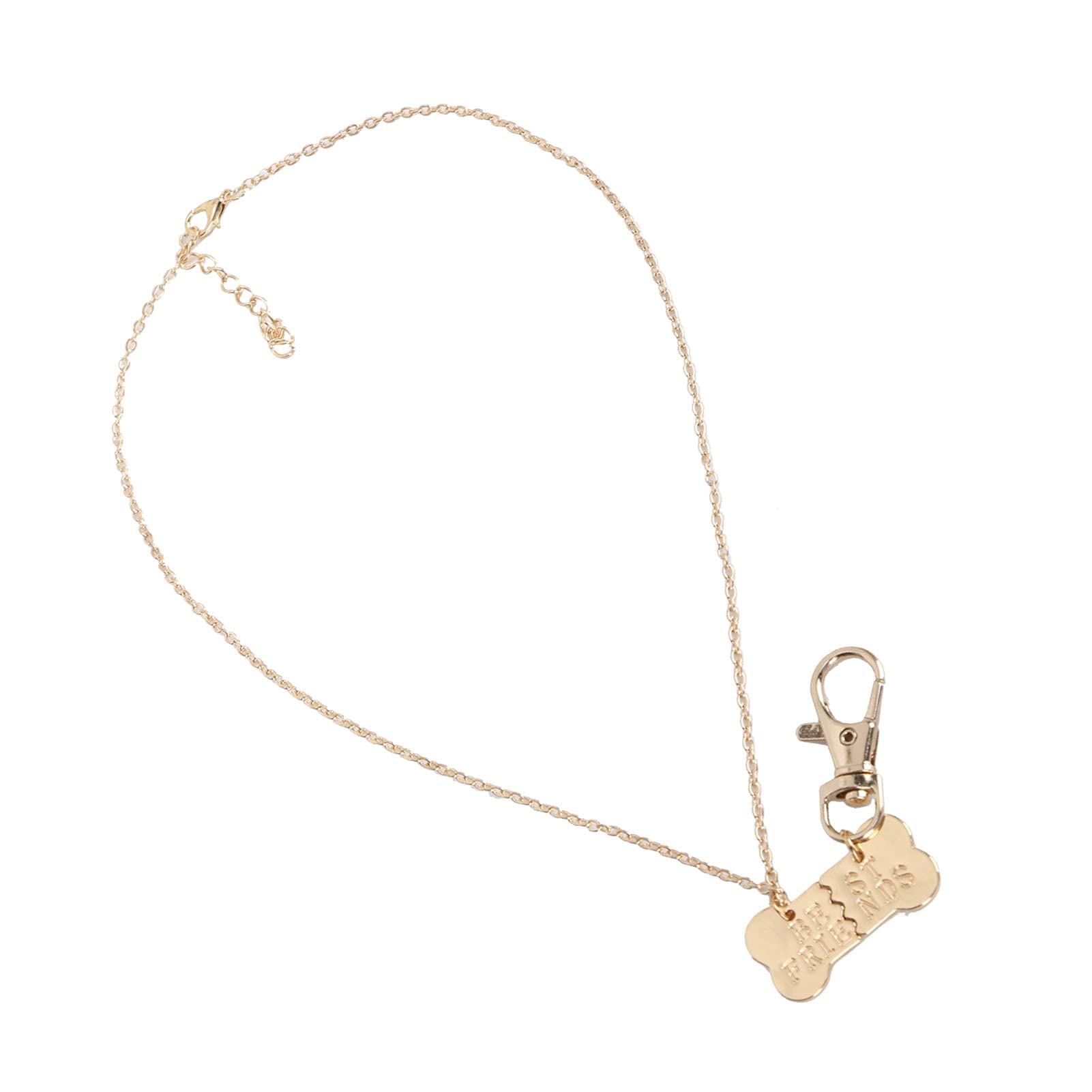 Collier en alliage pour propriétaire et animal de compagnie, paire d'os ...