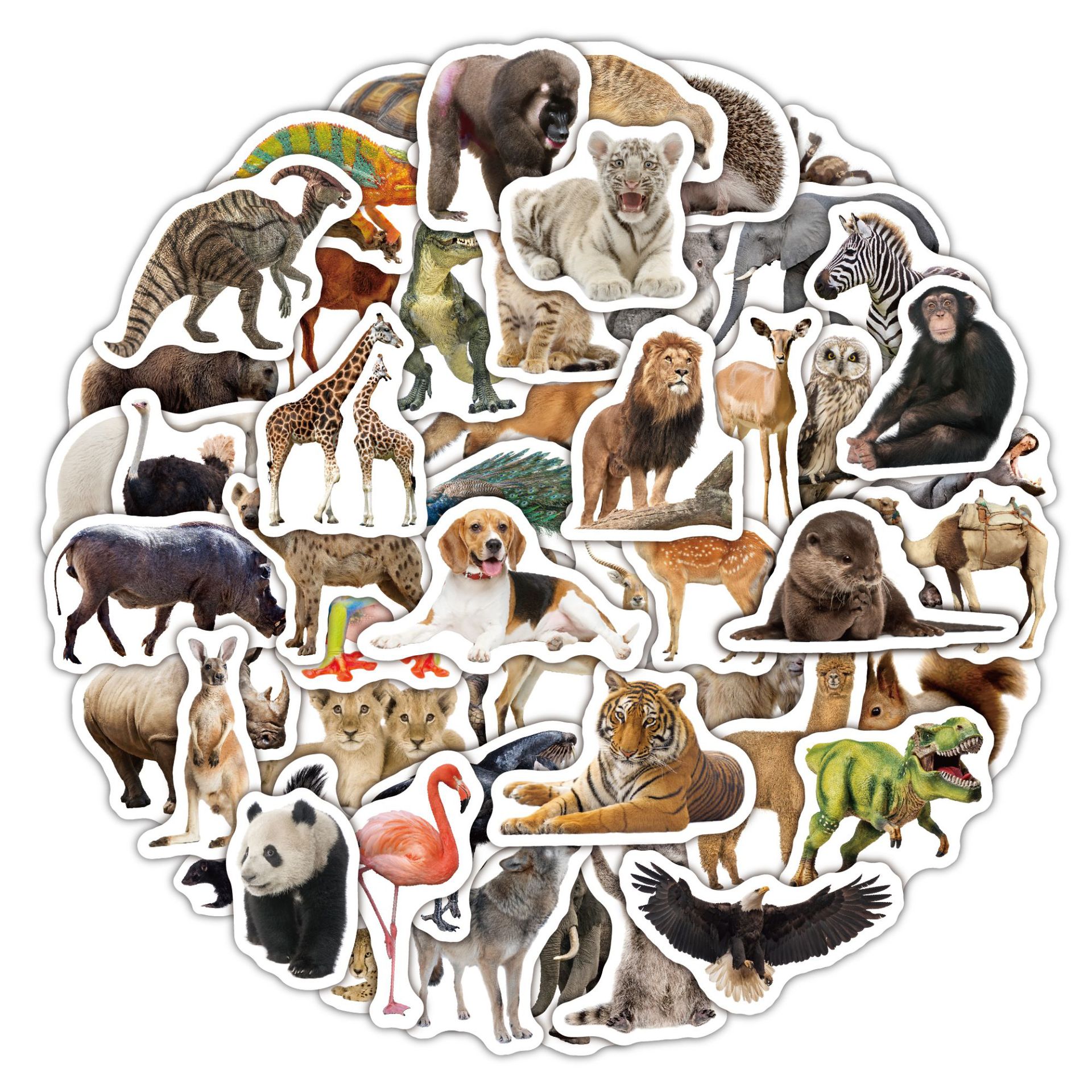 Pack d'autocollants animaux mignons et imperméables pour enfants et ...