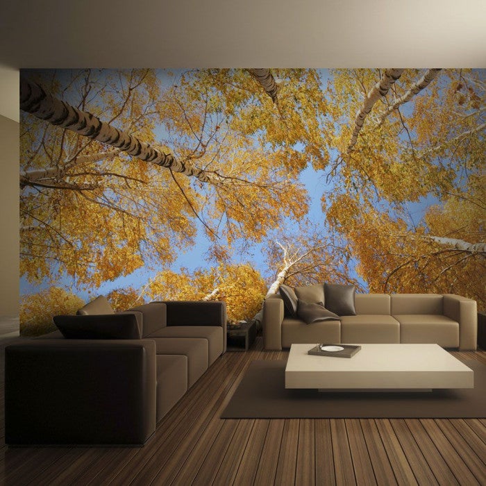Papier Peint "Arbres D'automne" 270 x 350 cm | Leroy Merlin