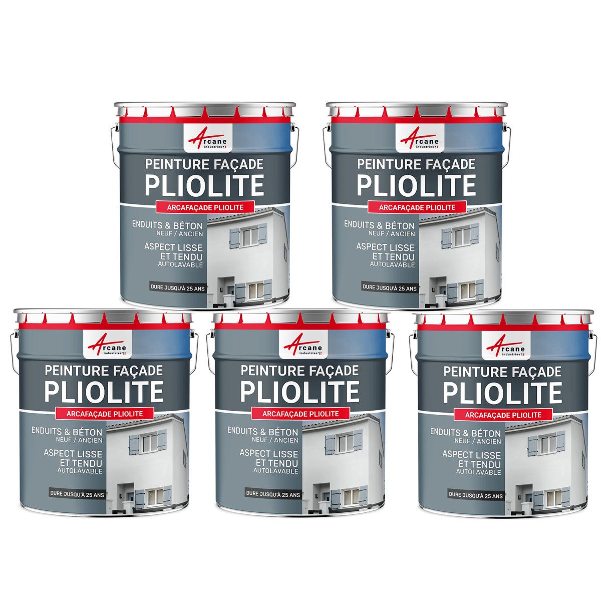 Pittura alla pliolite : per facciate e stucco - ARCAFAÇADE PLIOPROTECT ...