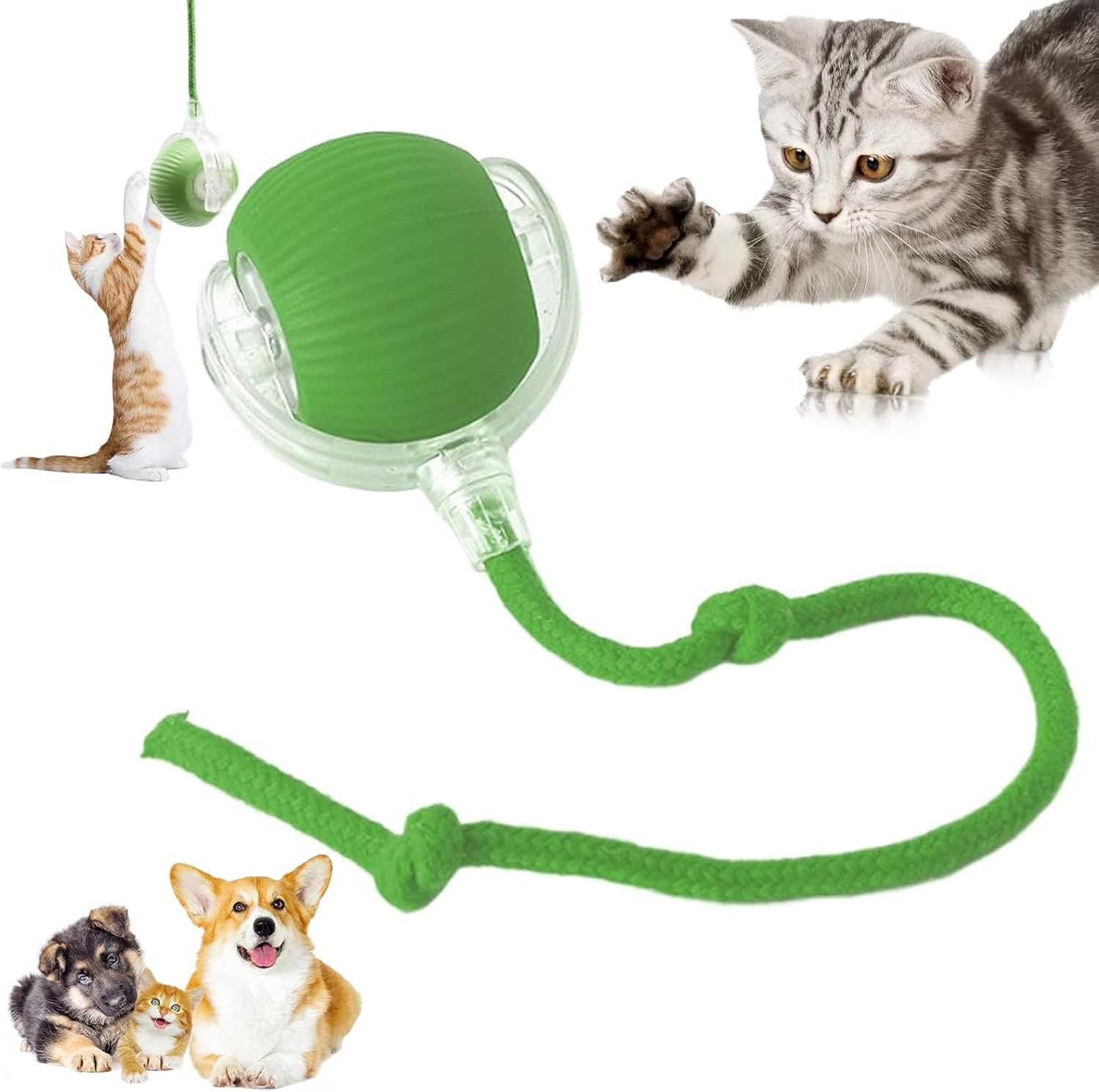 Balle interactive pour chat - électrique pour chat - Rechargeable par ...