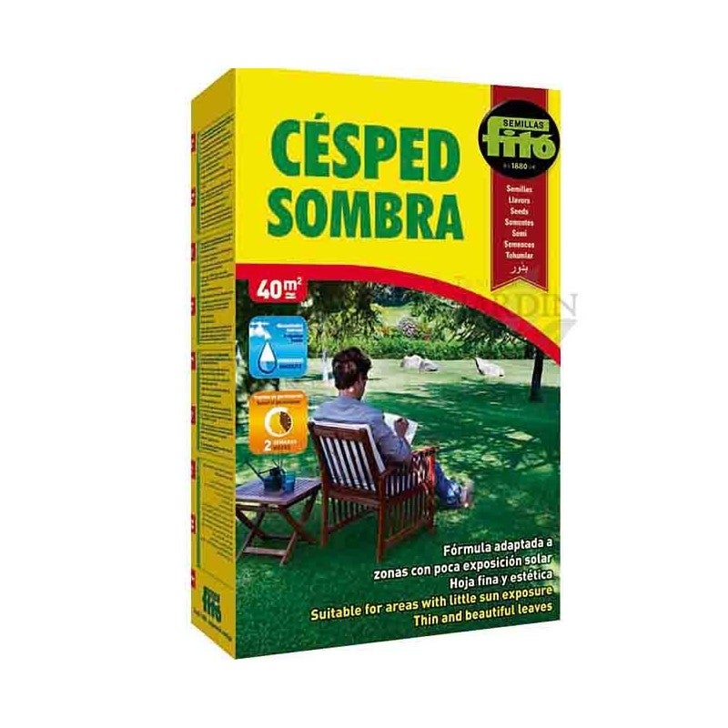 Semilla Cesped Sombra | Semillas Césped en Sombra 1 Kg | Semilla Fito ...