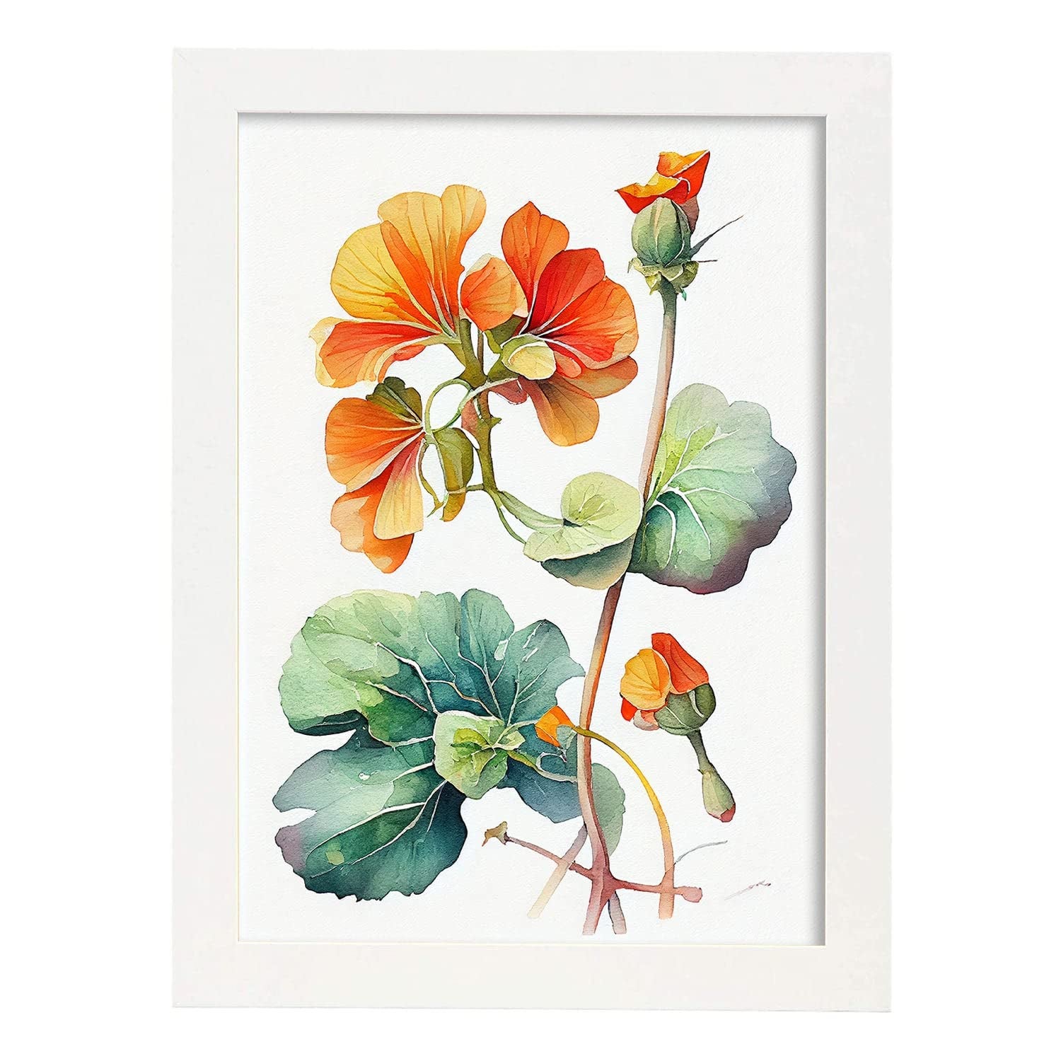 Nacnic Capucine Affiche Dans Style Aquarelle Fleur Plante Botanique ...