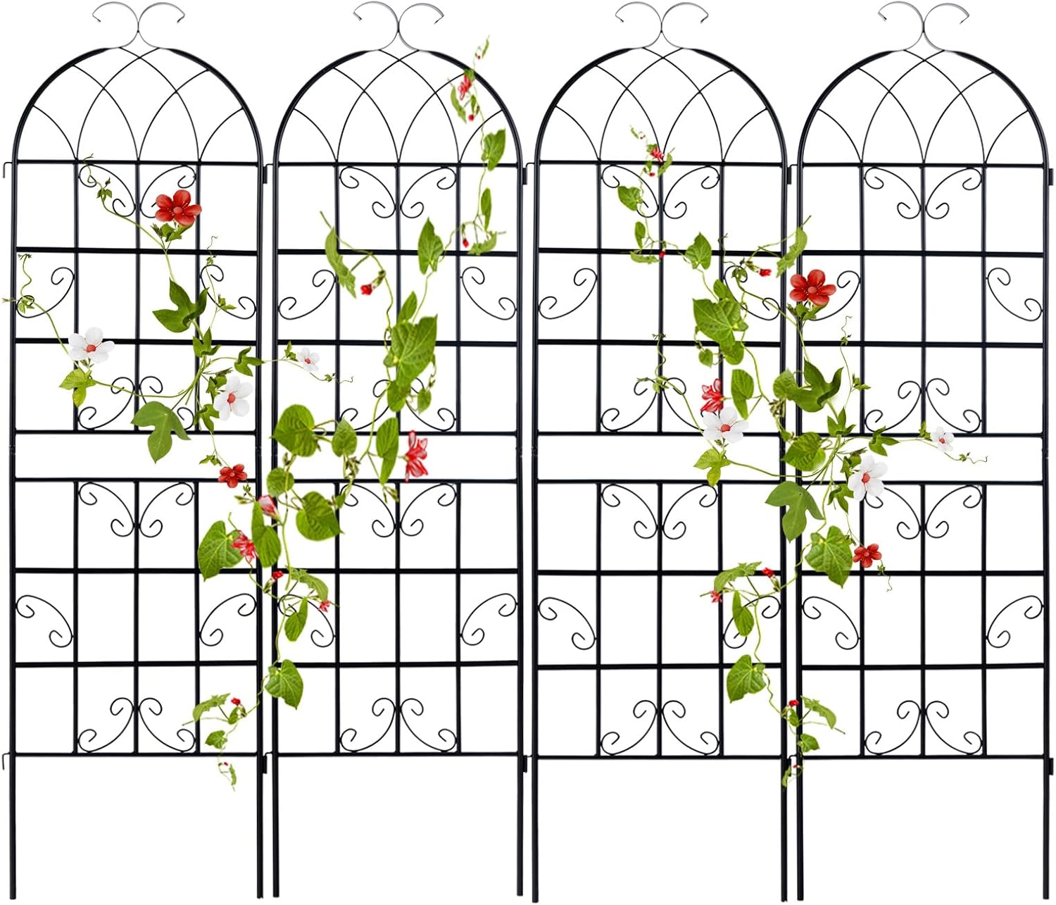 Lot de 4 Treillis Jardin pour Plantes Grimpantes, Treillis pour Plantes ...