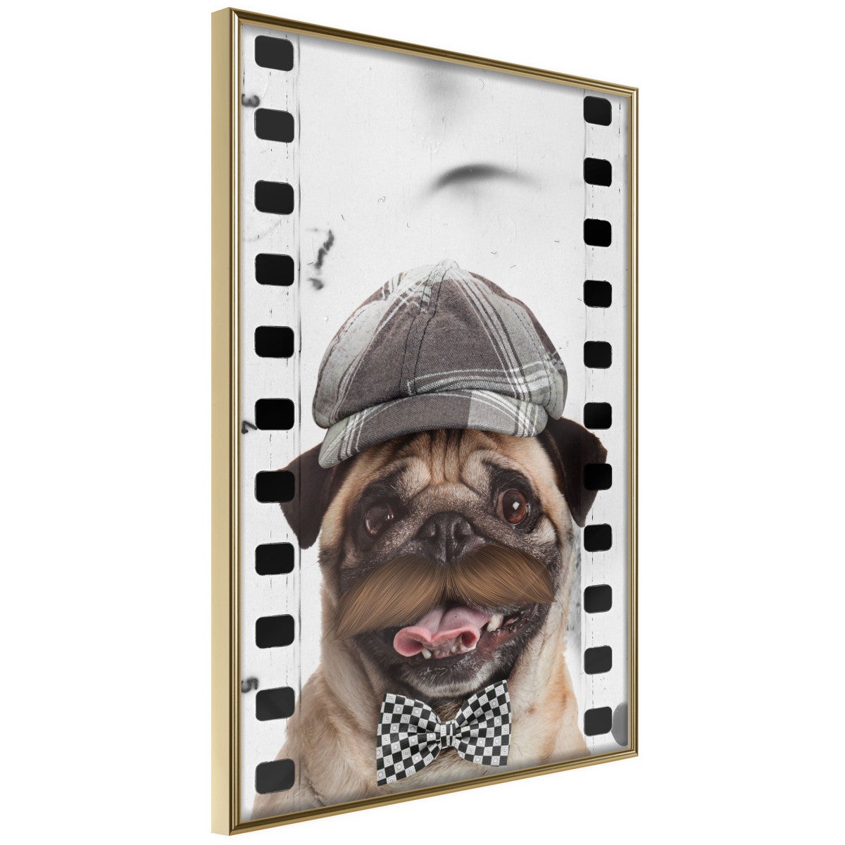 Affiche Murale Encadrée "Dressed Up Pug" 21 x 30 cm Or | Leroy Merlin