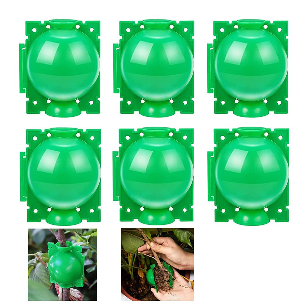 Pot de semis réutilisable à haute pression, 6 pièces, boule d ...