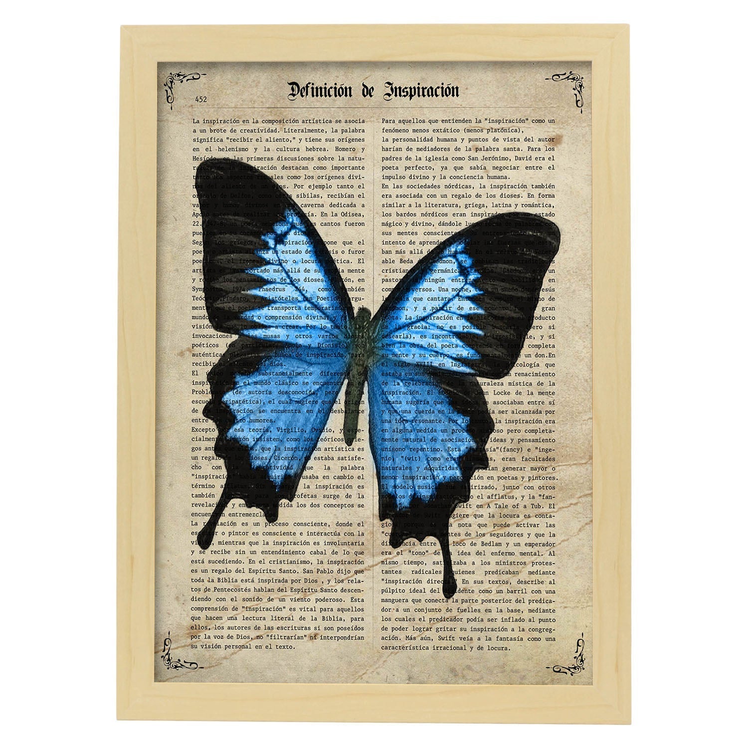 Affiche De Papillon Blue Morfo. Papillons. Décoration Des Papillons Et ...