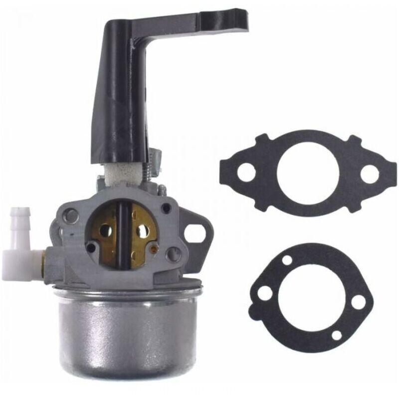 Kit de carburateur et de joint de remplacement pour Briggs & Stratton ...