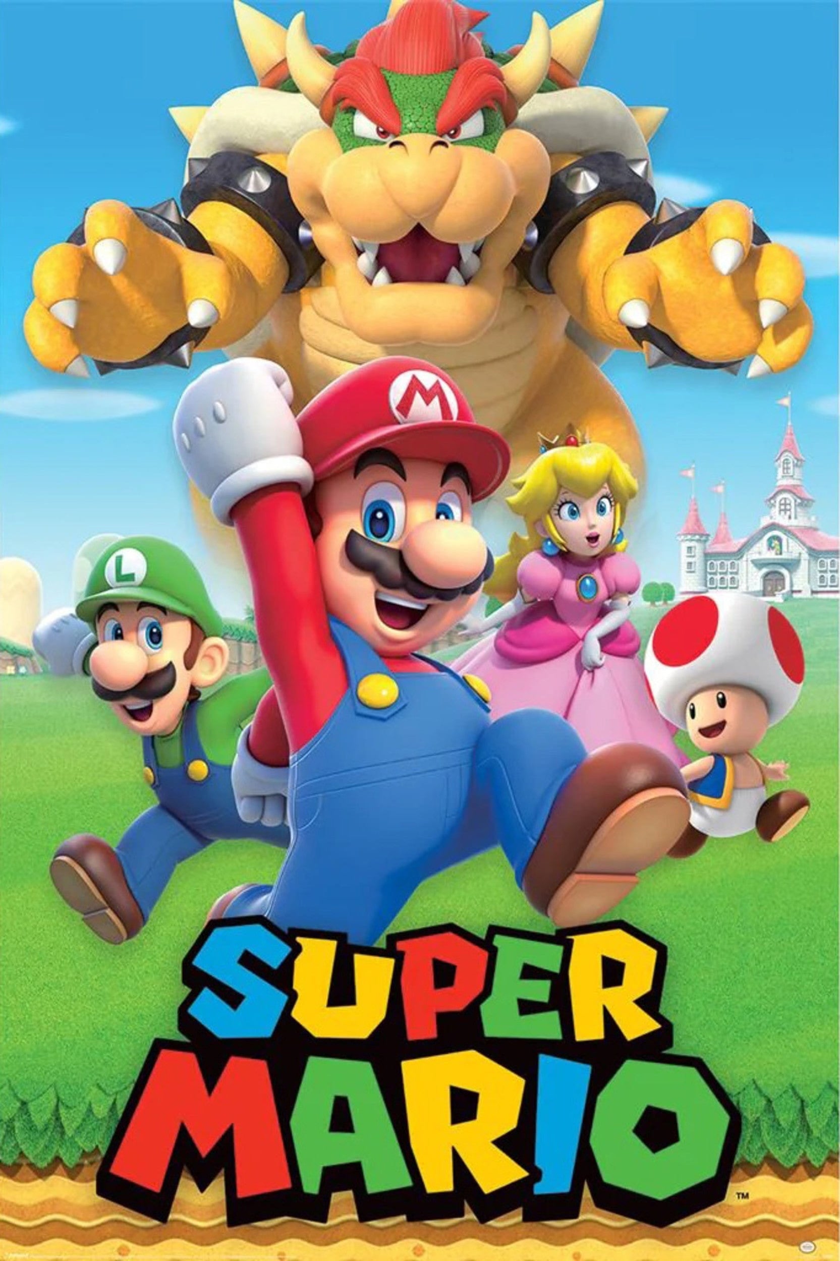 Poster Super Mario - Character Montage 61x91.5cm | Leroy Merlin