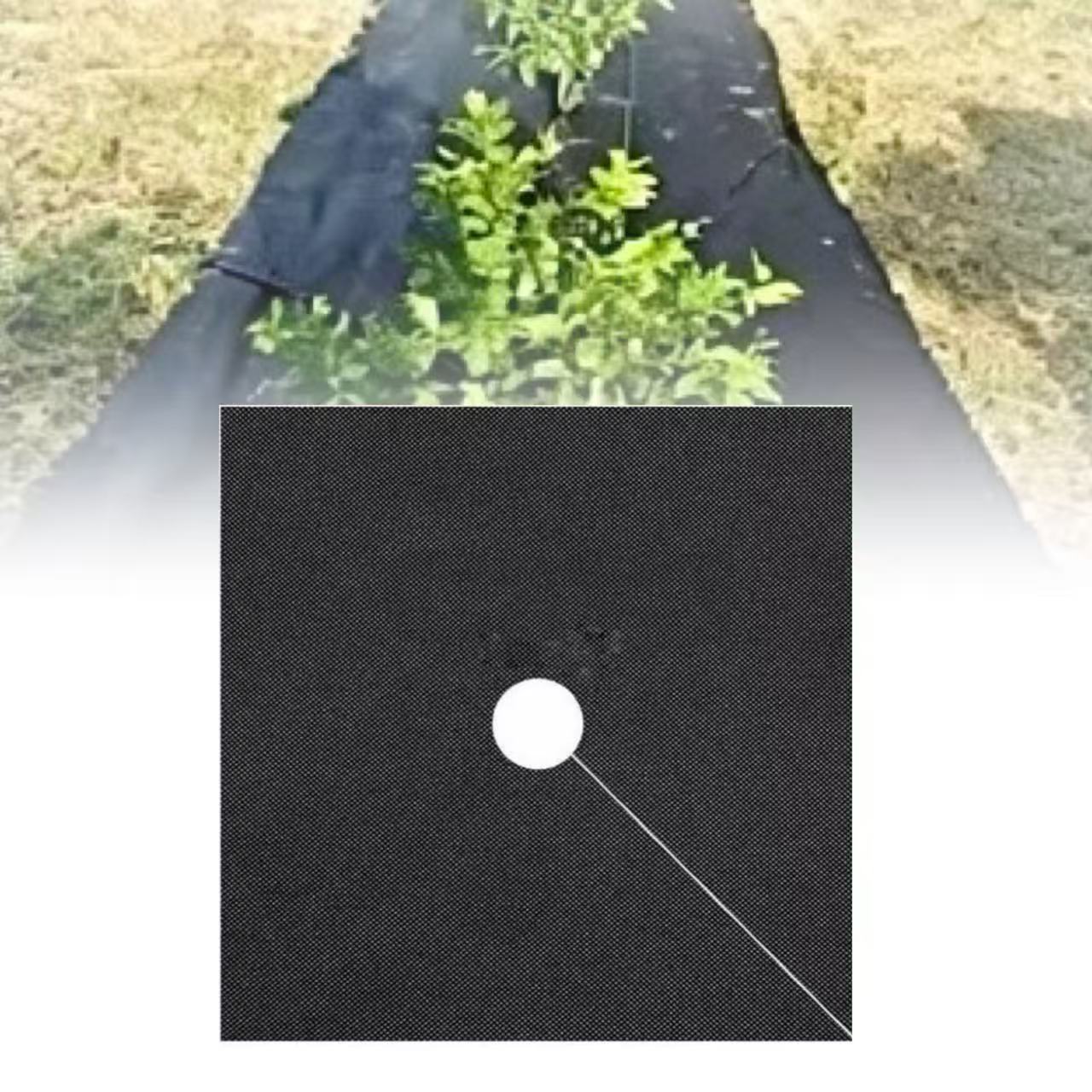 Película para el control de malezas en árboles frutales, 1,2 x 1,2 ...