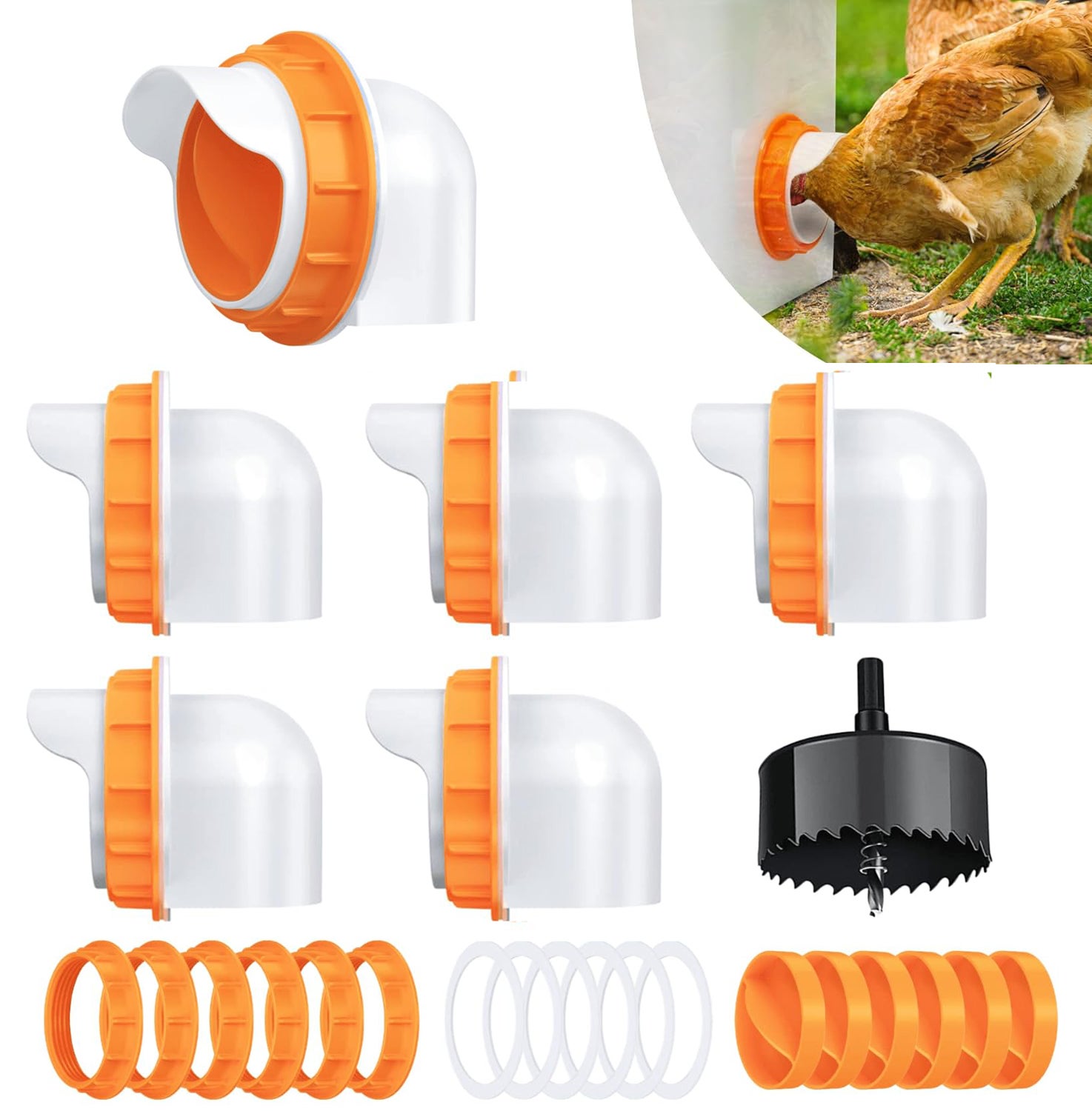 Comedero automático para pollos sin desperdicios,6 puertos,resistente a ...