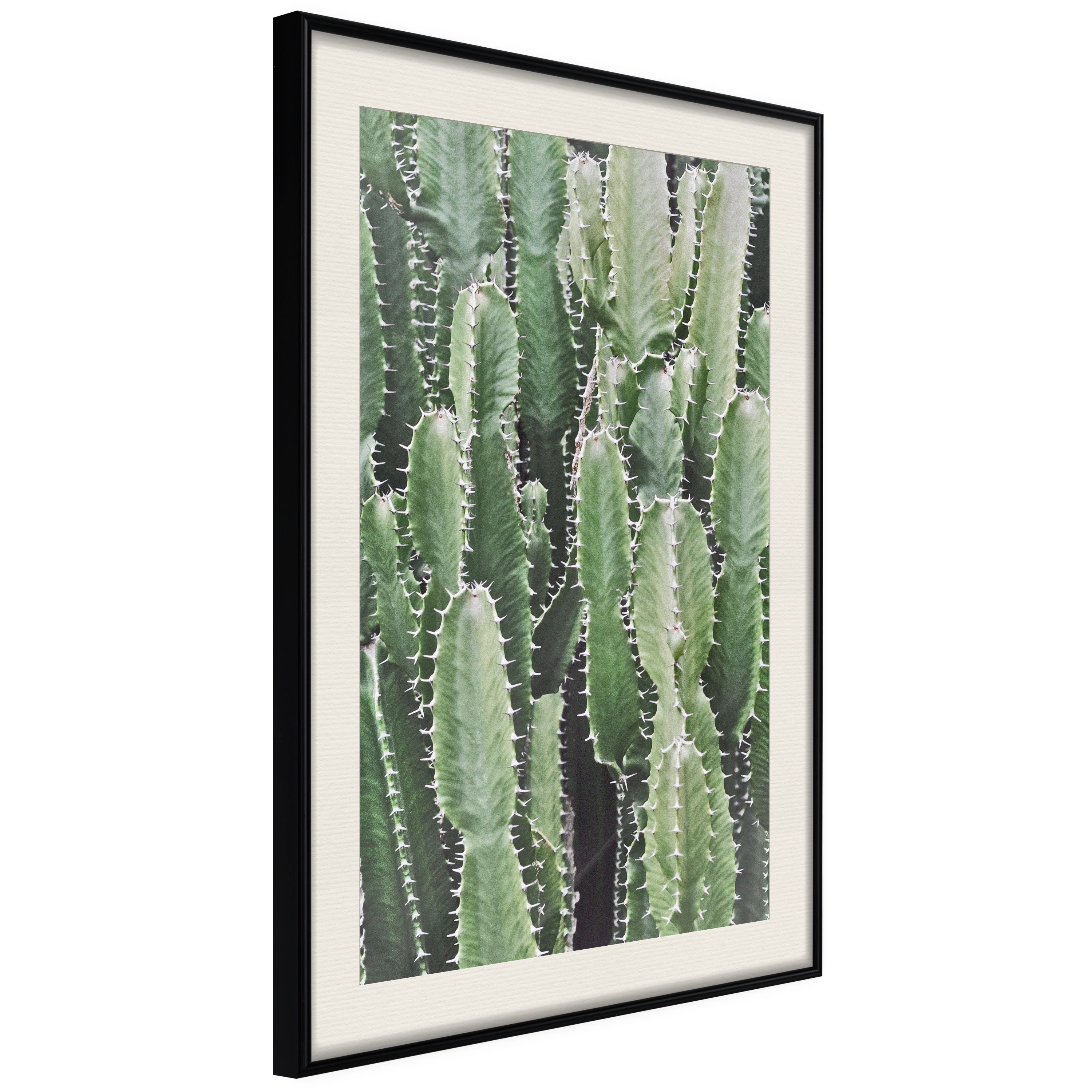 Poster et affiche - Cactus Plantation 40x60 cm | Leroy Merlin