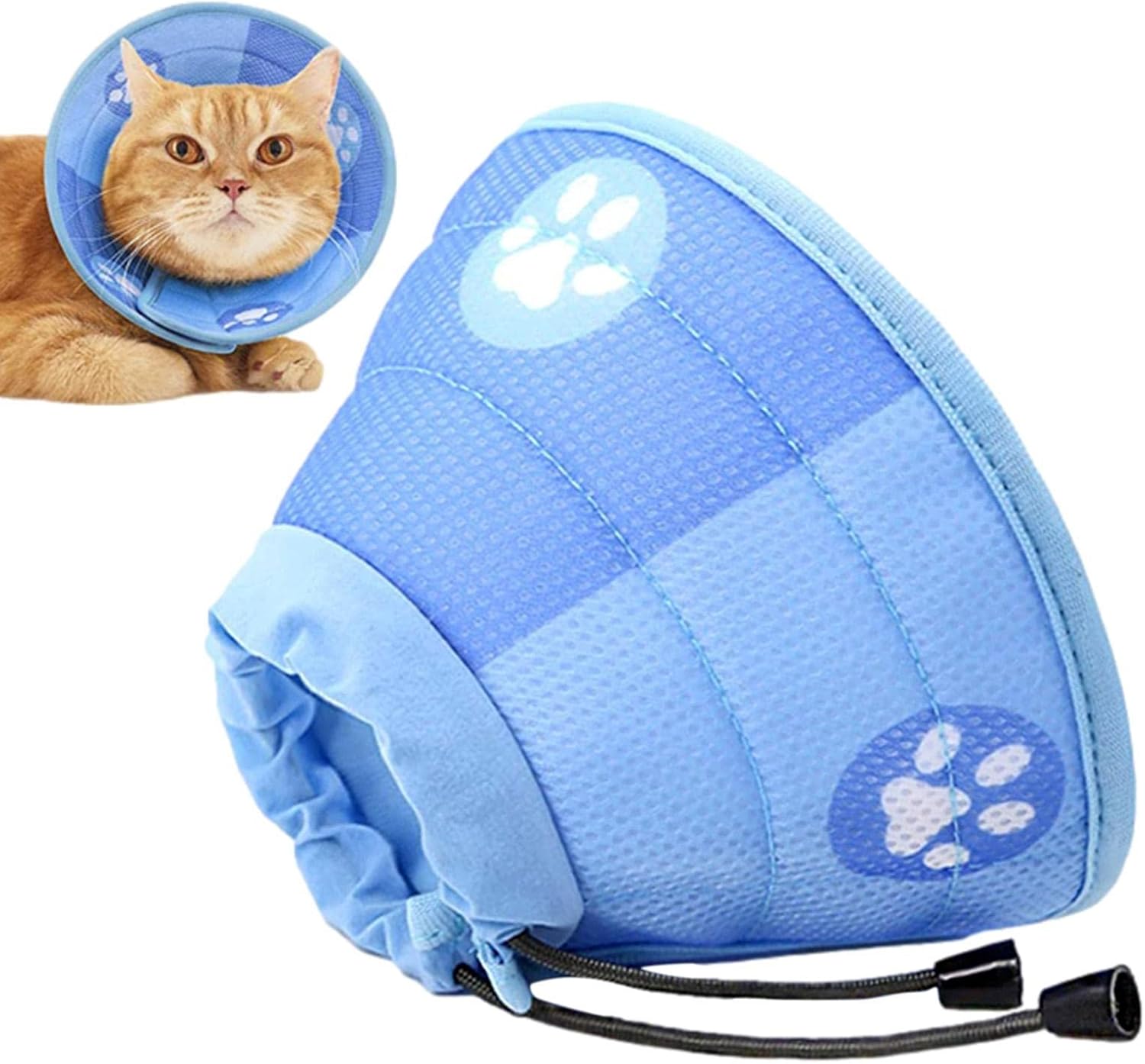 Collier conique pour chat, protection anti-morsure, chat, chiot ...