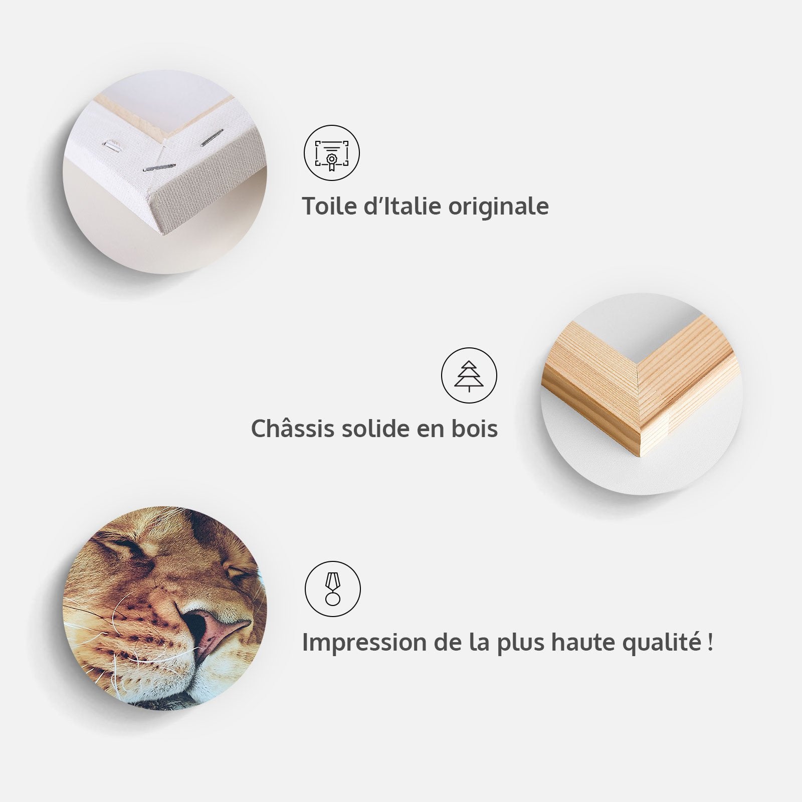 Tableau Transparent Clover Vertical - 40 x 60 cm | Leroy Merlin