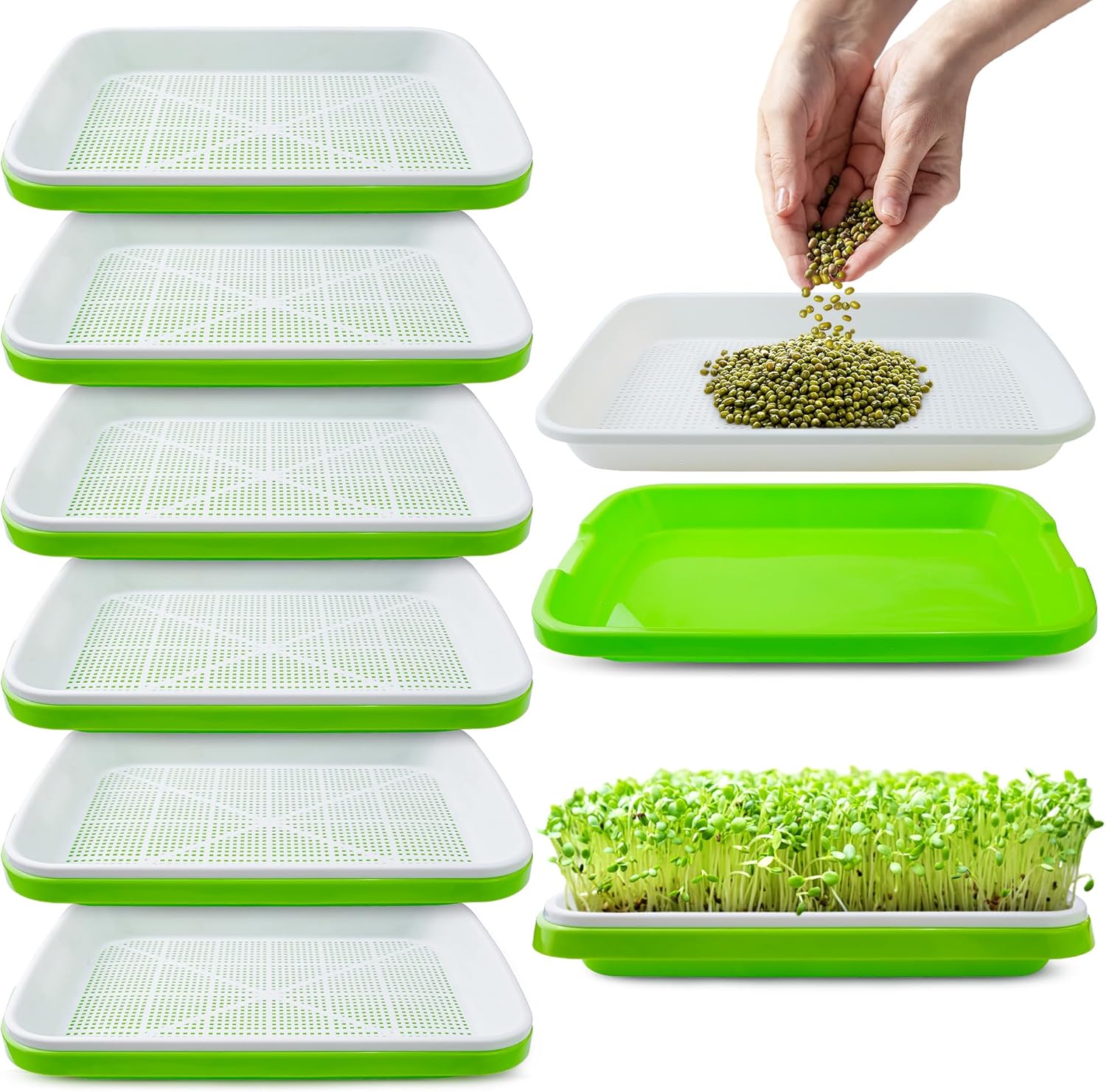 Germoir pour graines à germer, 6pcs Plateaux de Germination de Graines ...