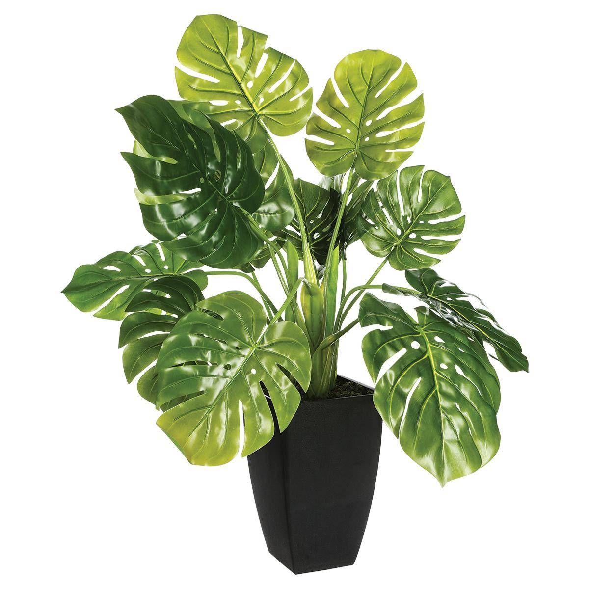 Atmosphera - Planta artificial - maceta de cemento - H70 cm | Leroy Merlin