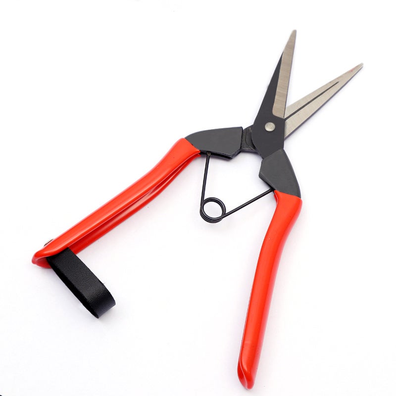 Cesoie da potatura con punta micro, cesoie per potatura manuale, forbici da giardino per ...