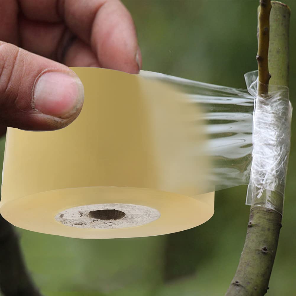 Ruban de greffage pour arbres fruitiers, ruban de bourgeonnement ...
