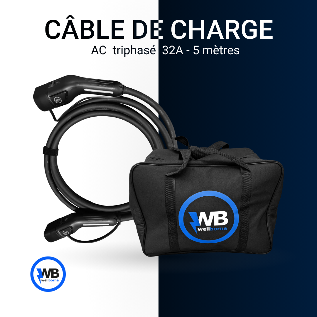 WELLBORNE - Câble de charge AC triphasé 32A, 5 mètres | Leroy Merlin