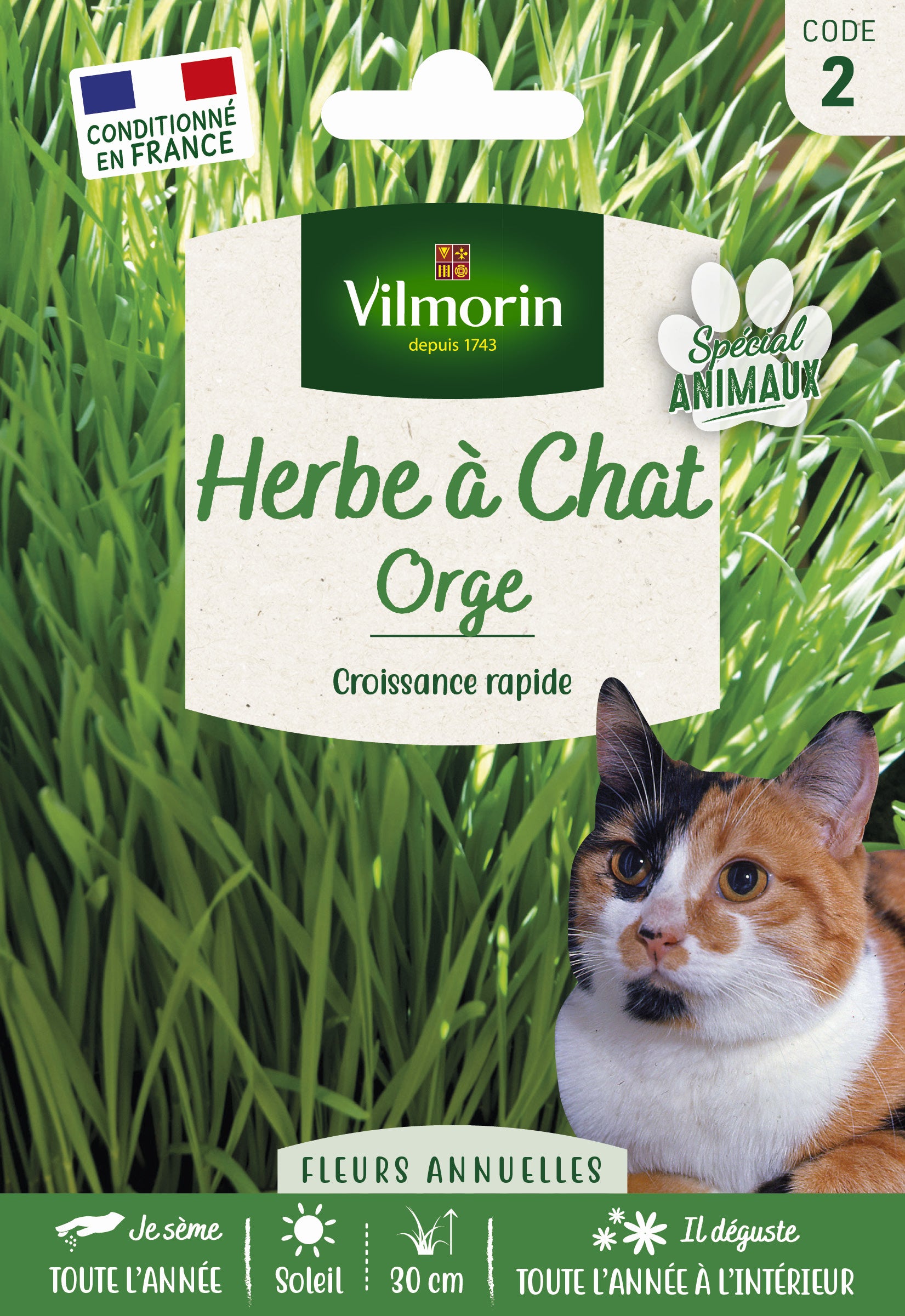 VILMORIN Sobre de Semillas de Nepeta Cebada | Leroy Merlin