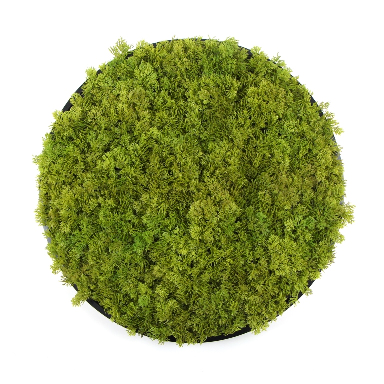 Jivana Cercle de mousse - MOSS Lime Green - Diamètre de 50 cm avec ...
