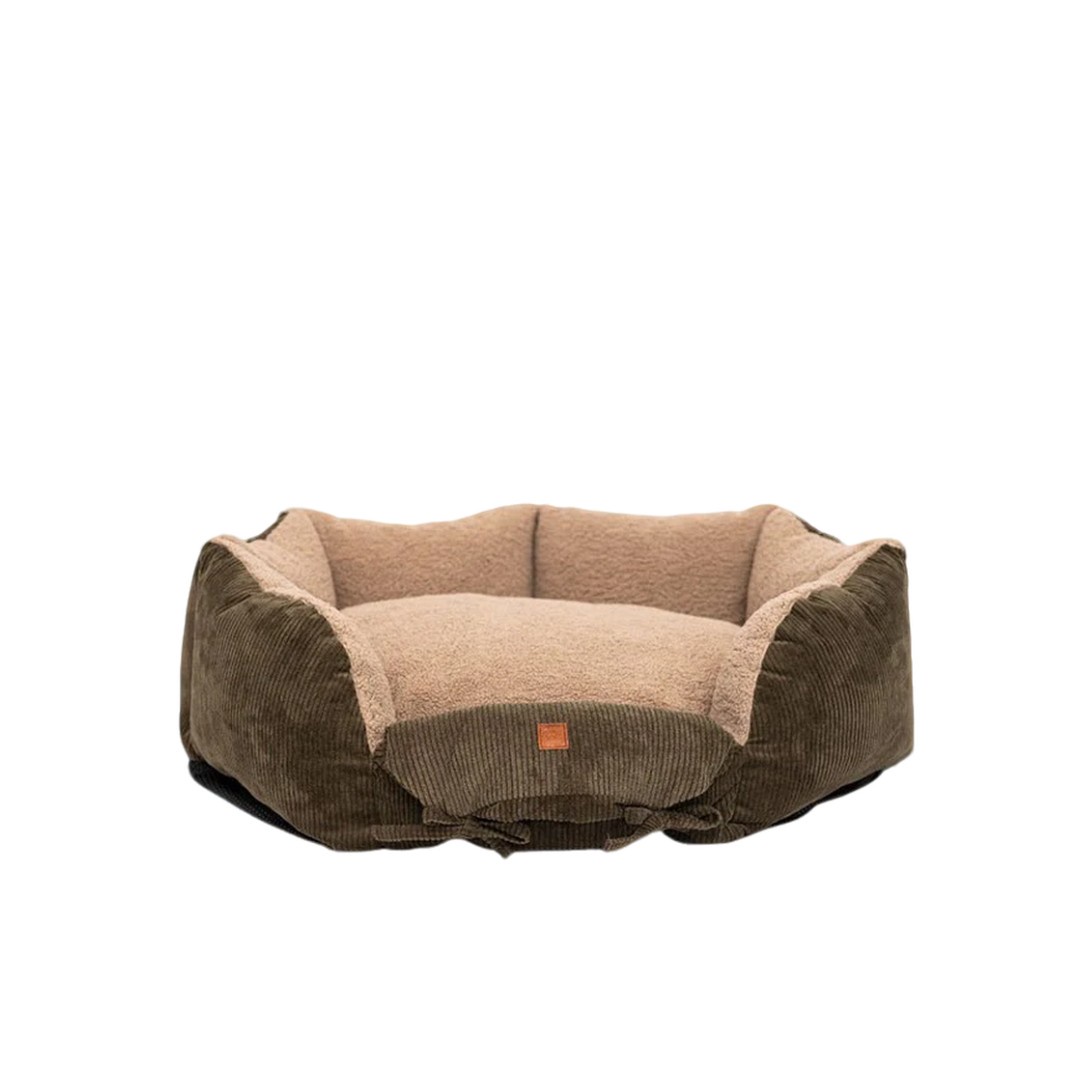 Pet and Co - Ronny Cordon Double Face Lit pour Chien, Kaki | Leroy Merlin