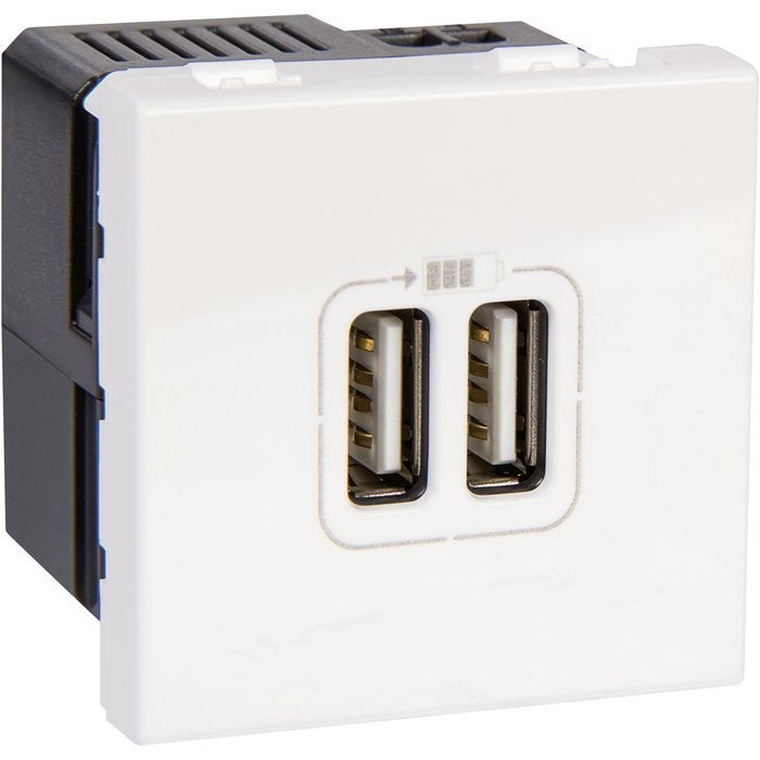 Legrand 077594 Alimentatore USB 230V/5V 2 porte / 2 mod. Bianco | Leroy ...