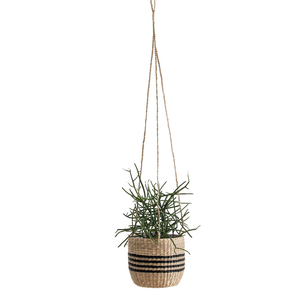 Cachet-pot suspendu en herbier Ø13 cm, Mila - Naturel/noir - taille ...