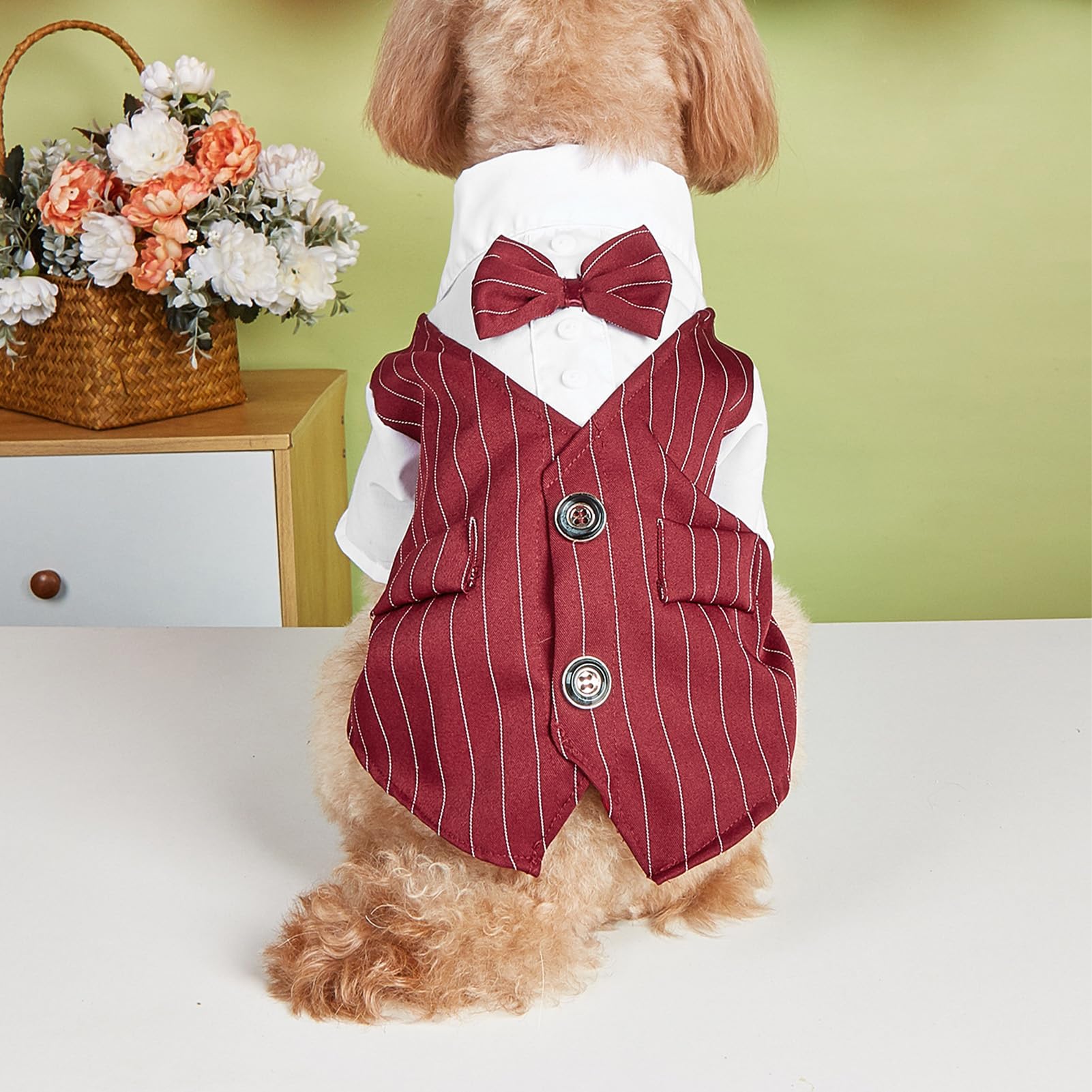 Traje para perro, suave, transpirable, ligero, a rayas, a la moda, con ...
