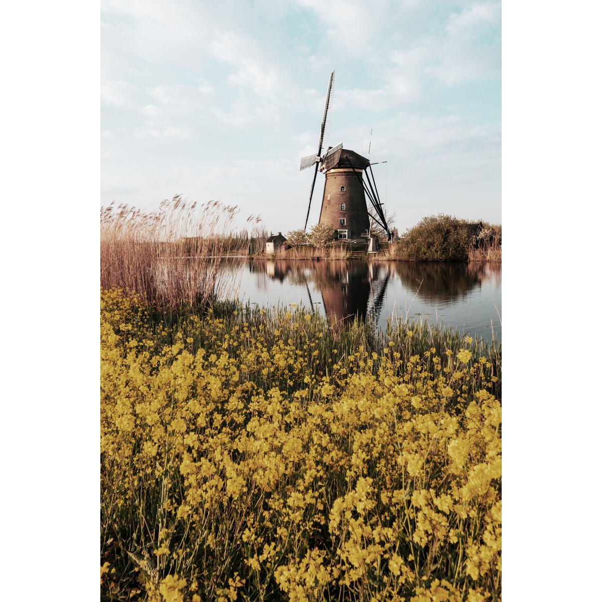 Tableau sur toile petit moulin 45x65 cm | Leroy Merlin