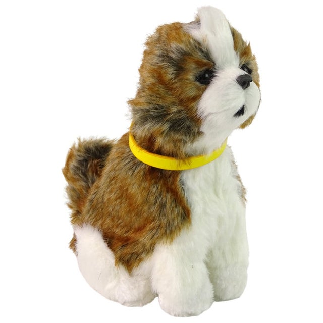 SHIH TZU CROISÉ BICHON QUEL PRIX - Recherche Leroy Merlin