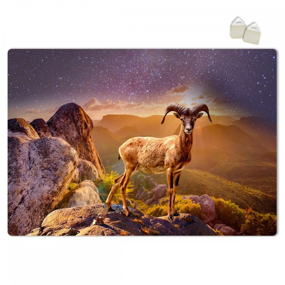 IBEX - Estructura POSTER de PVC Forex expandido, espesor 3 mm ...