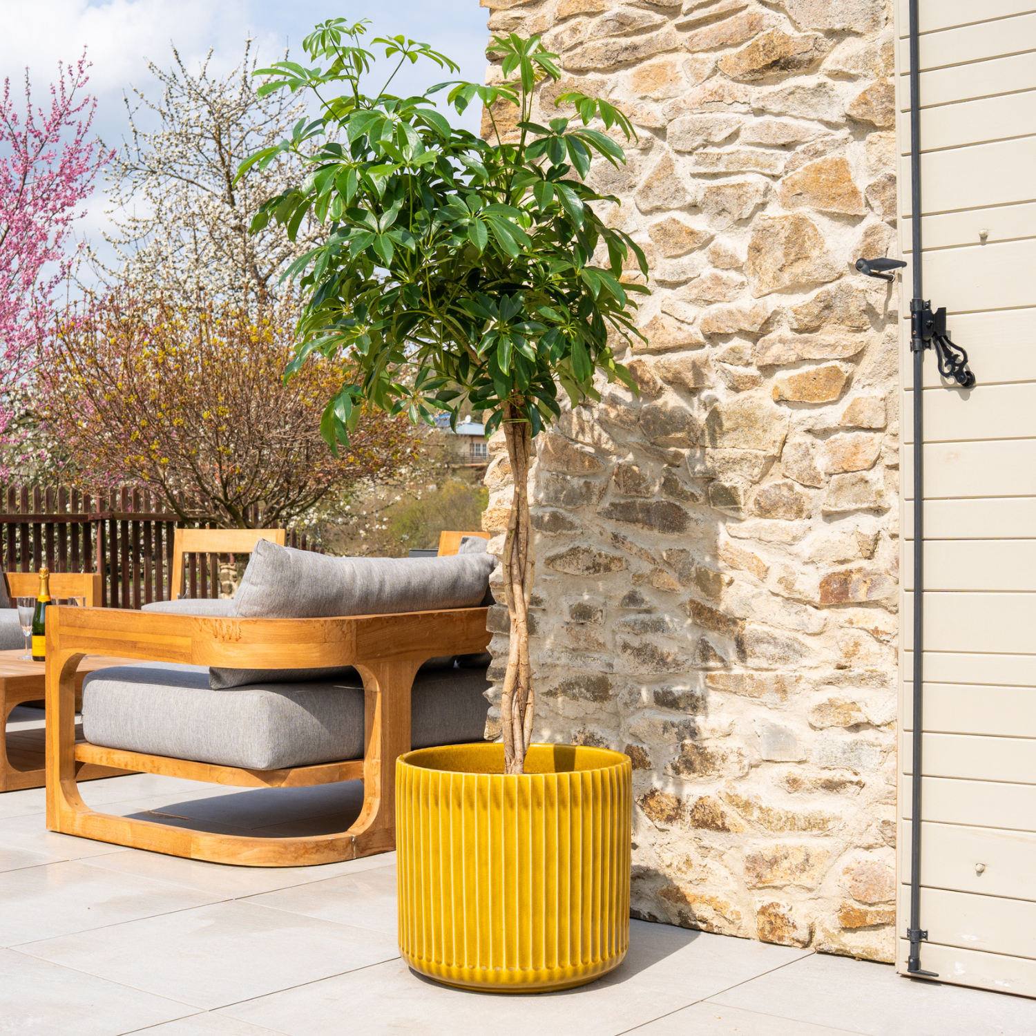 Pot grande taille d'extérieur LONDON 42x39cm héliodore, en terre cuite ...