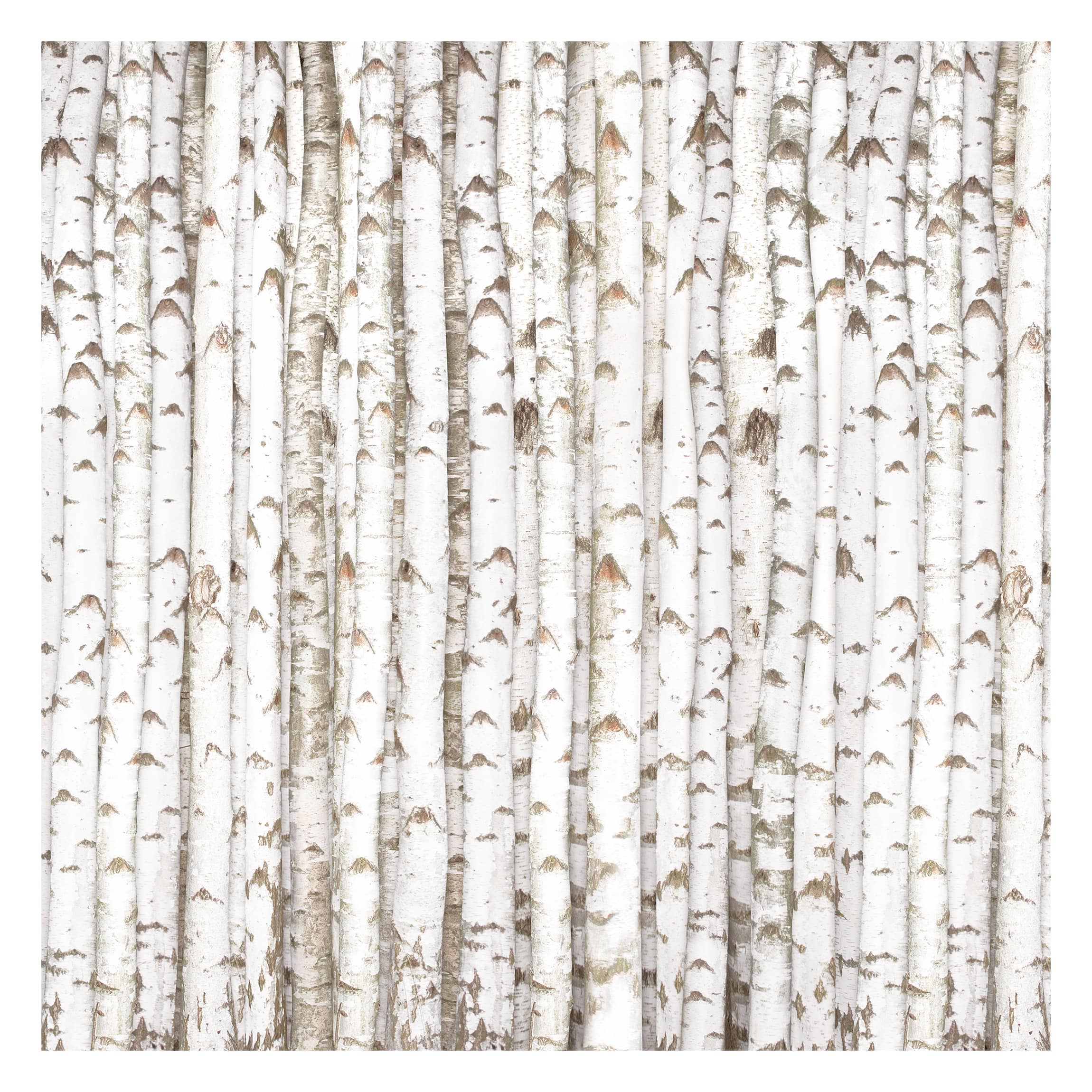 Papel pintado fotomural bosque imitación madera bouleaux 21 - salón ...