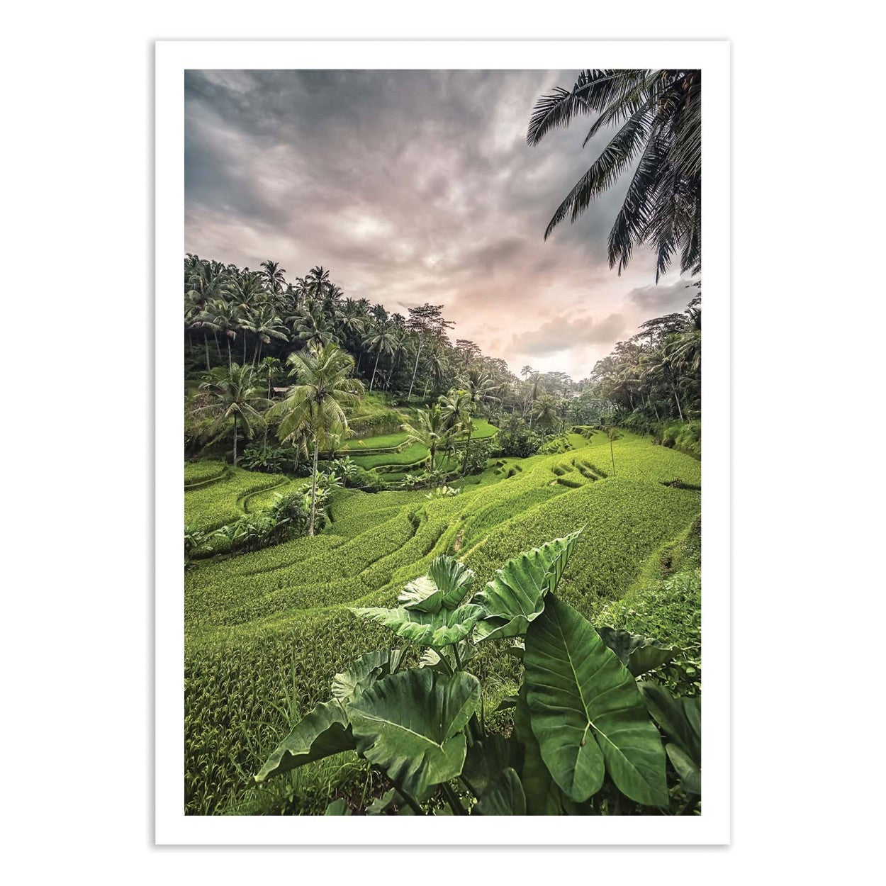 Art-Poster - Ubud Bali Indonesia - Manjik Pictures - 30 x 40 cm | Leroy ...